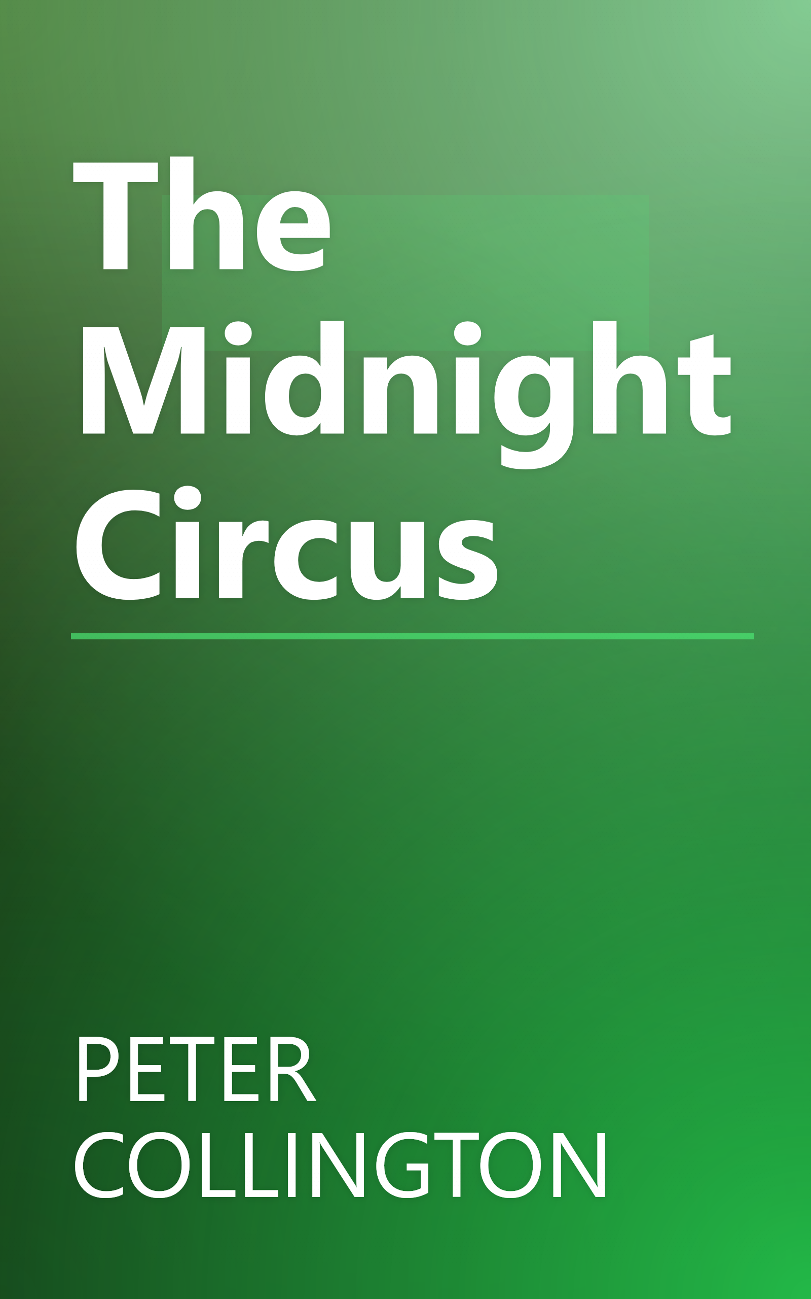 The Midnight Circus book cover
