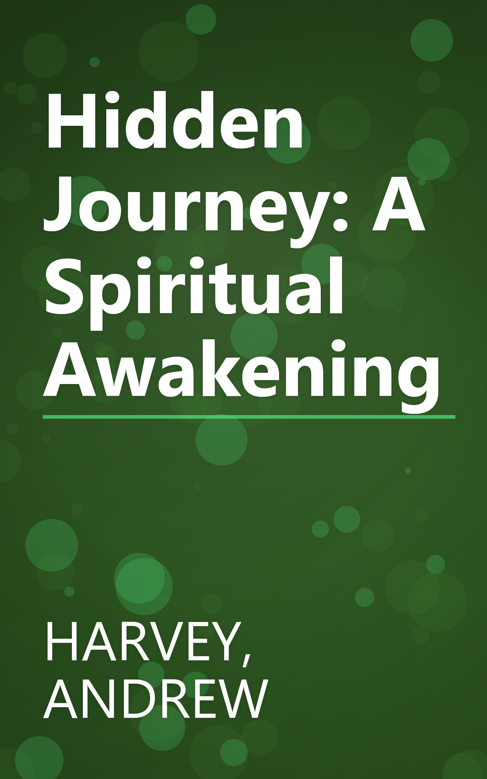 Hidden Journey: A Spiritual Awakening book cover
