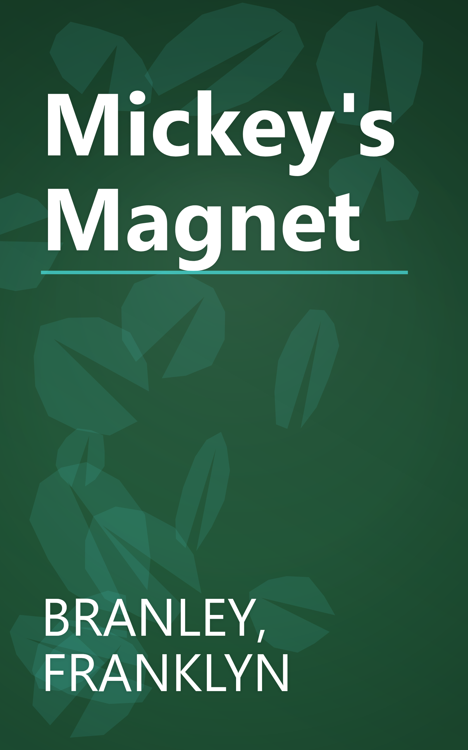 Mickey's Magnet book cover