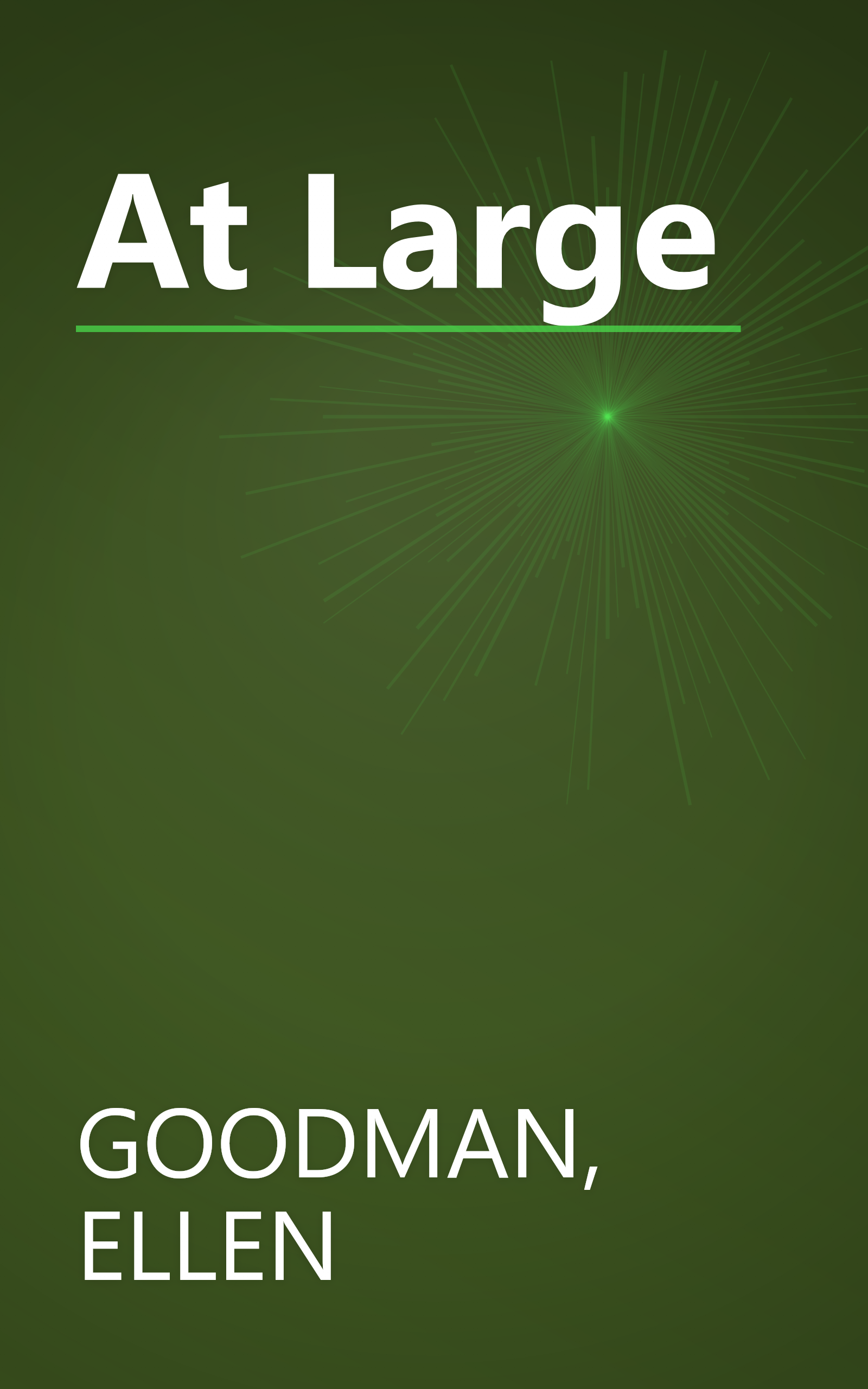 At Large book cover