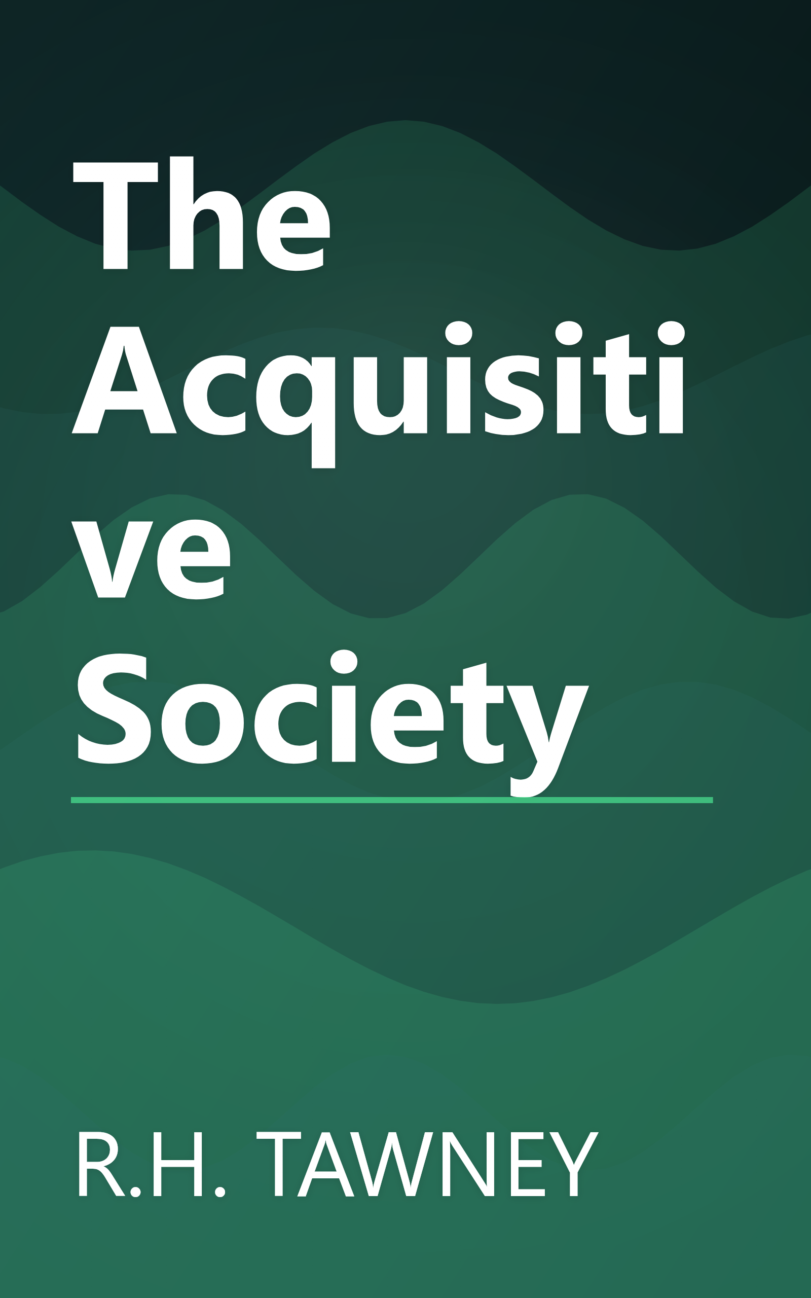 The Acquisitive Society book cover