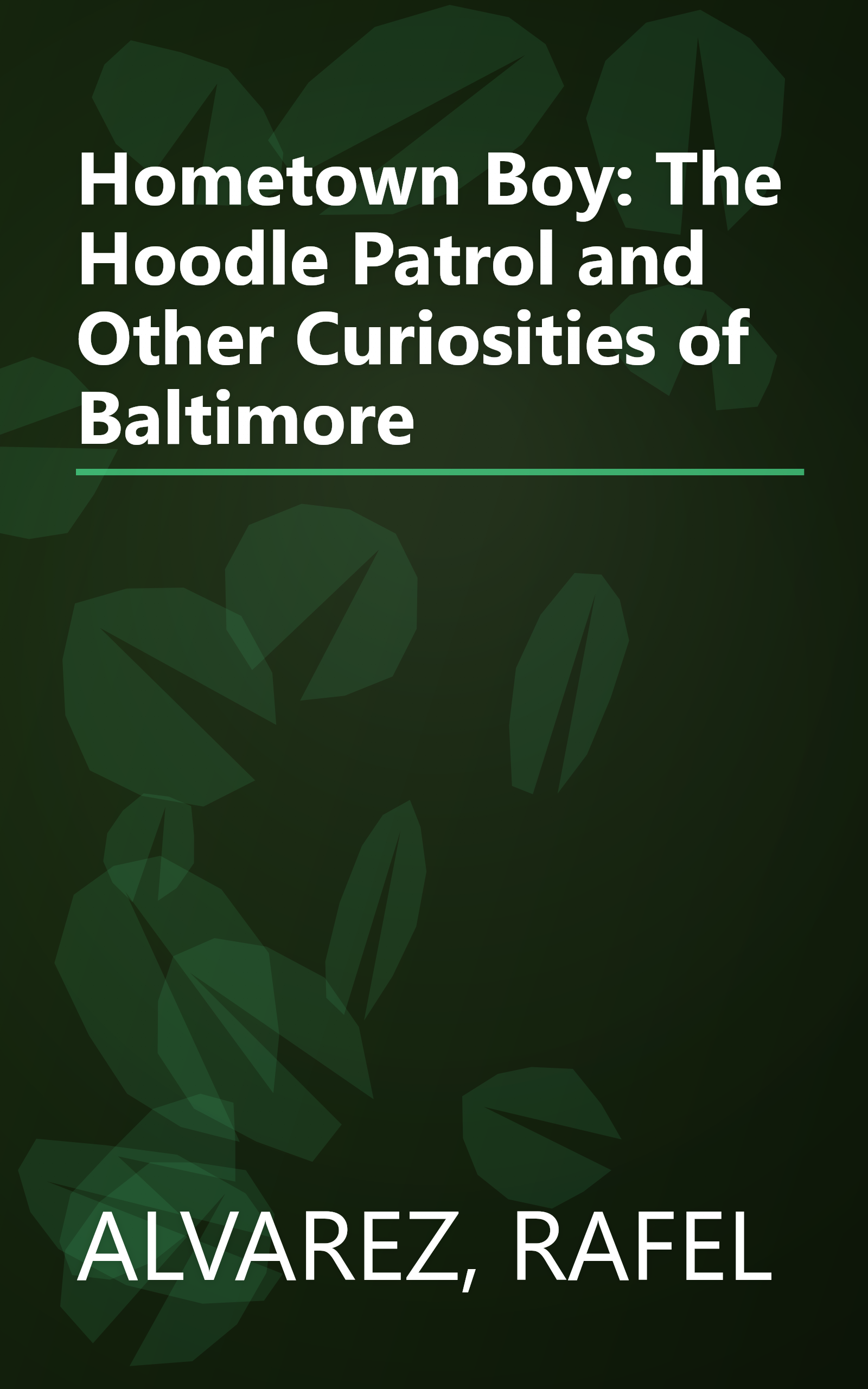Hometown Boy: The Hoodle Patrol and Other Curiosities of Baltimore book cover