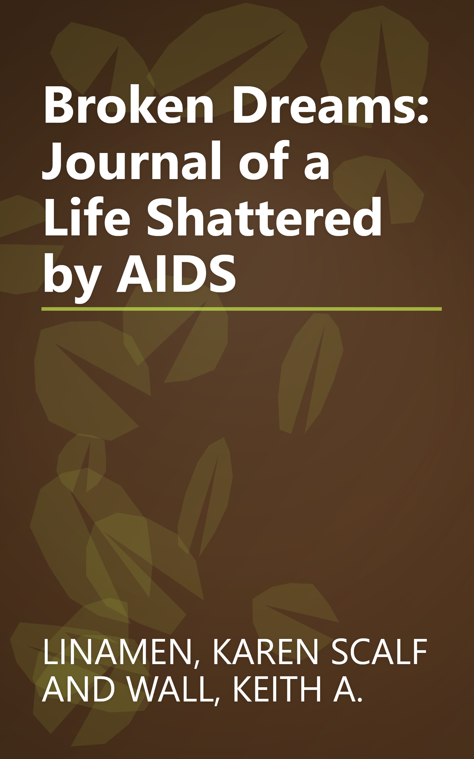 Broken Dreams: Journal of a Life Shattered by AIDS book cover