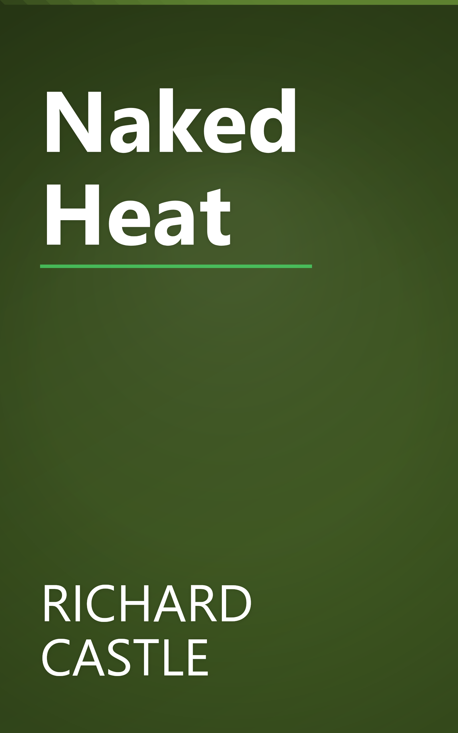 Naked Heat book cover