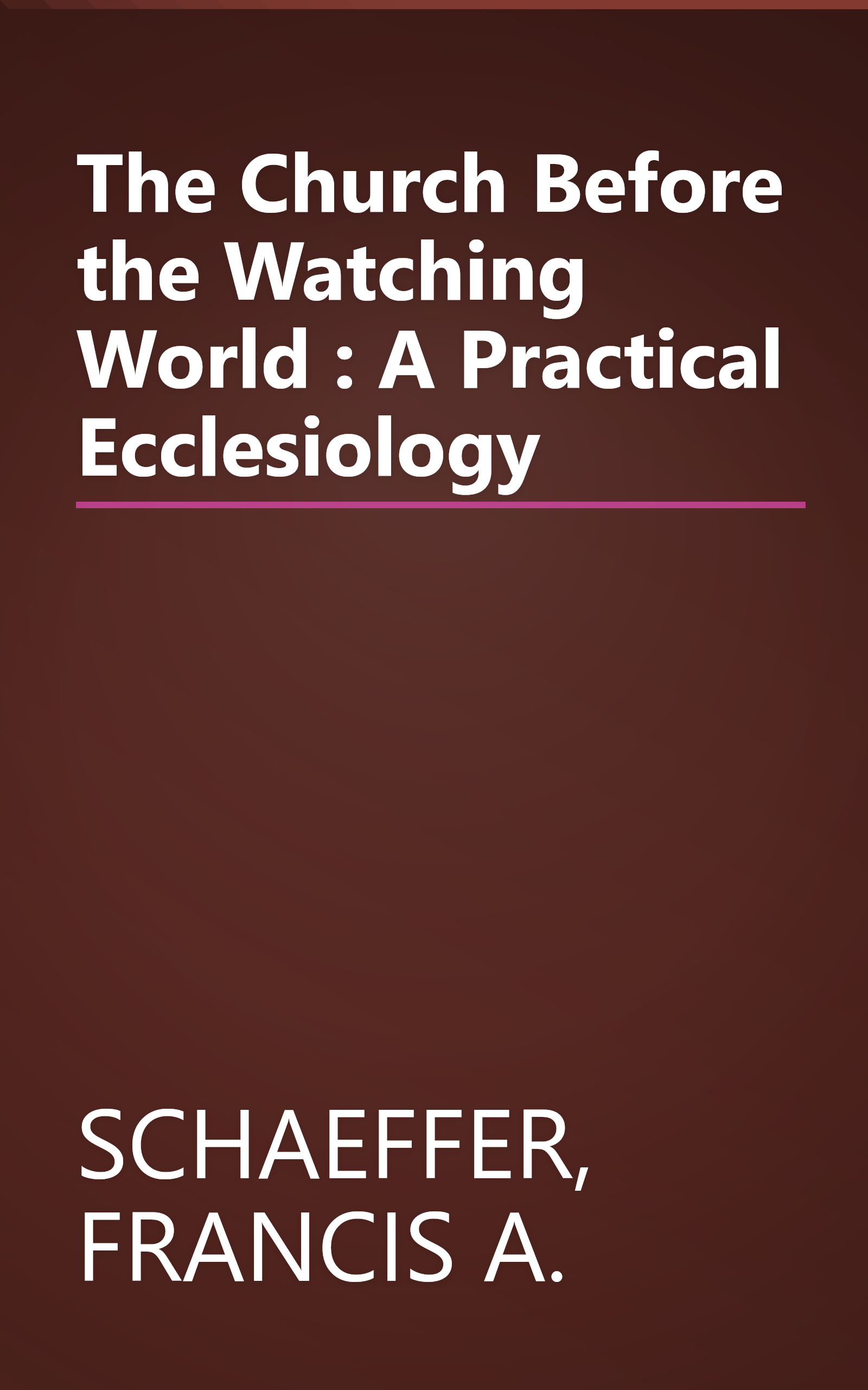 The Church Before the Watching World : A Practical Ecclesiology book cover