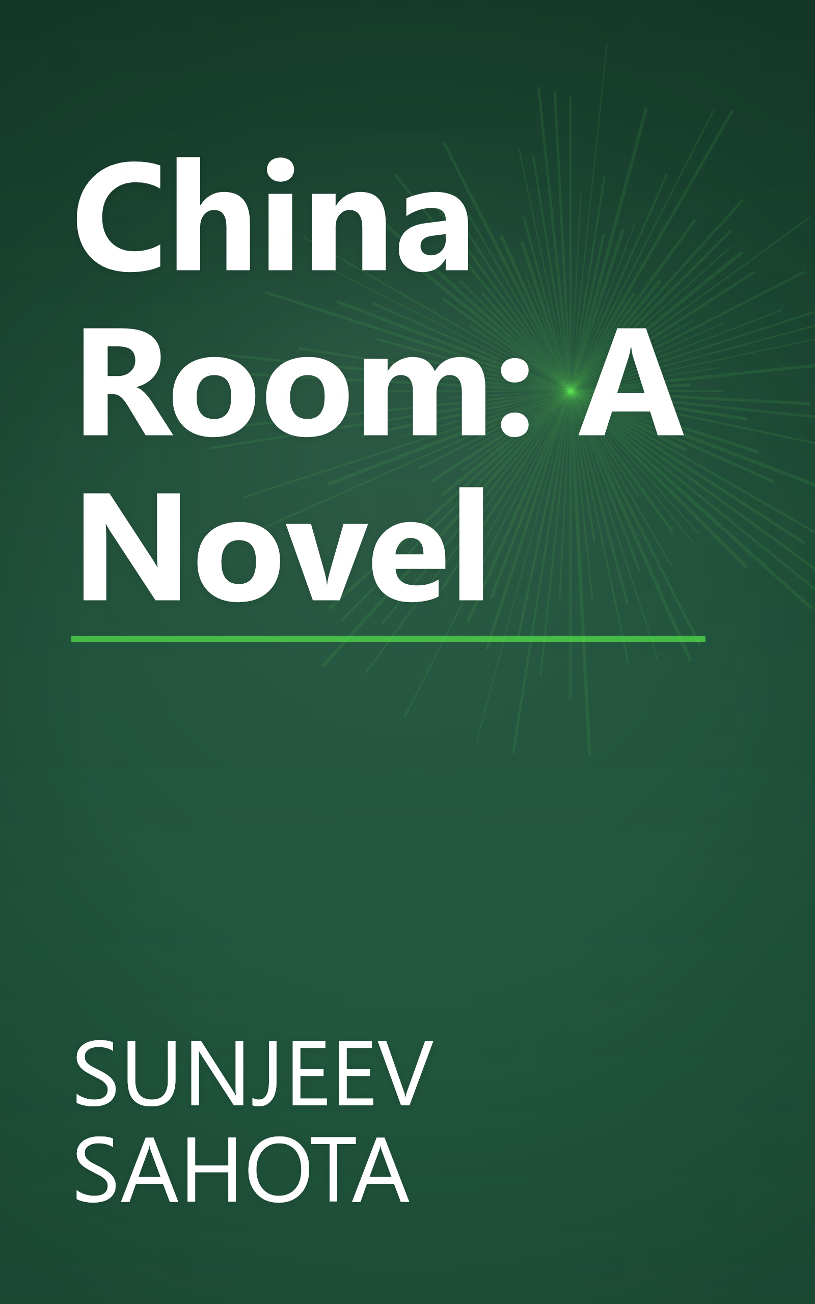 China Room: A Novel book cover