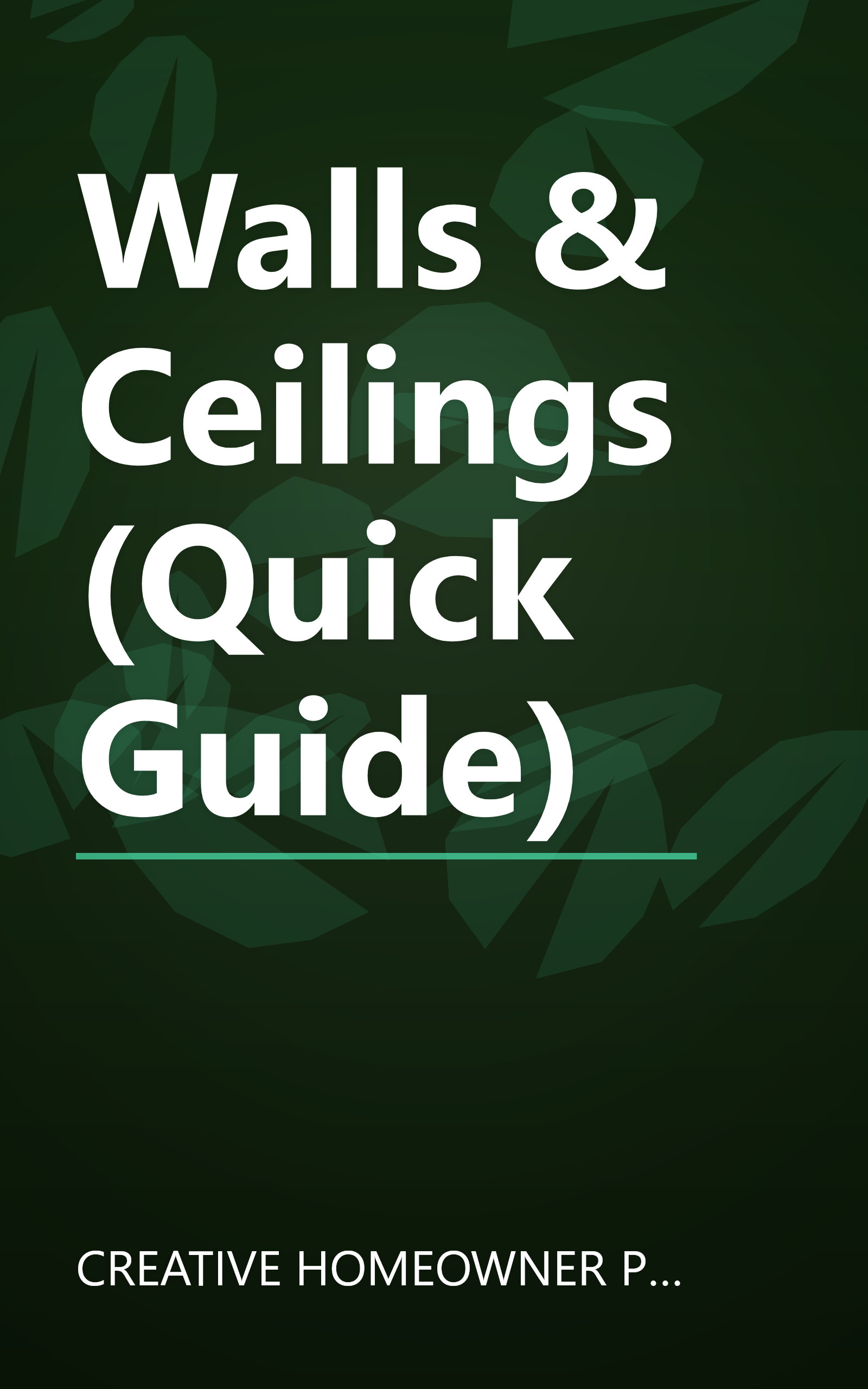Walls & Ceilings (Quick Guide) book cover