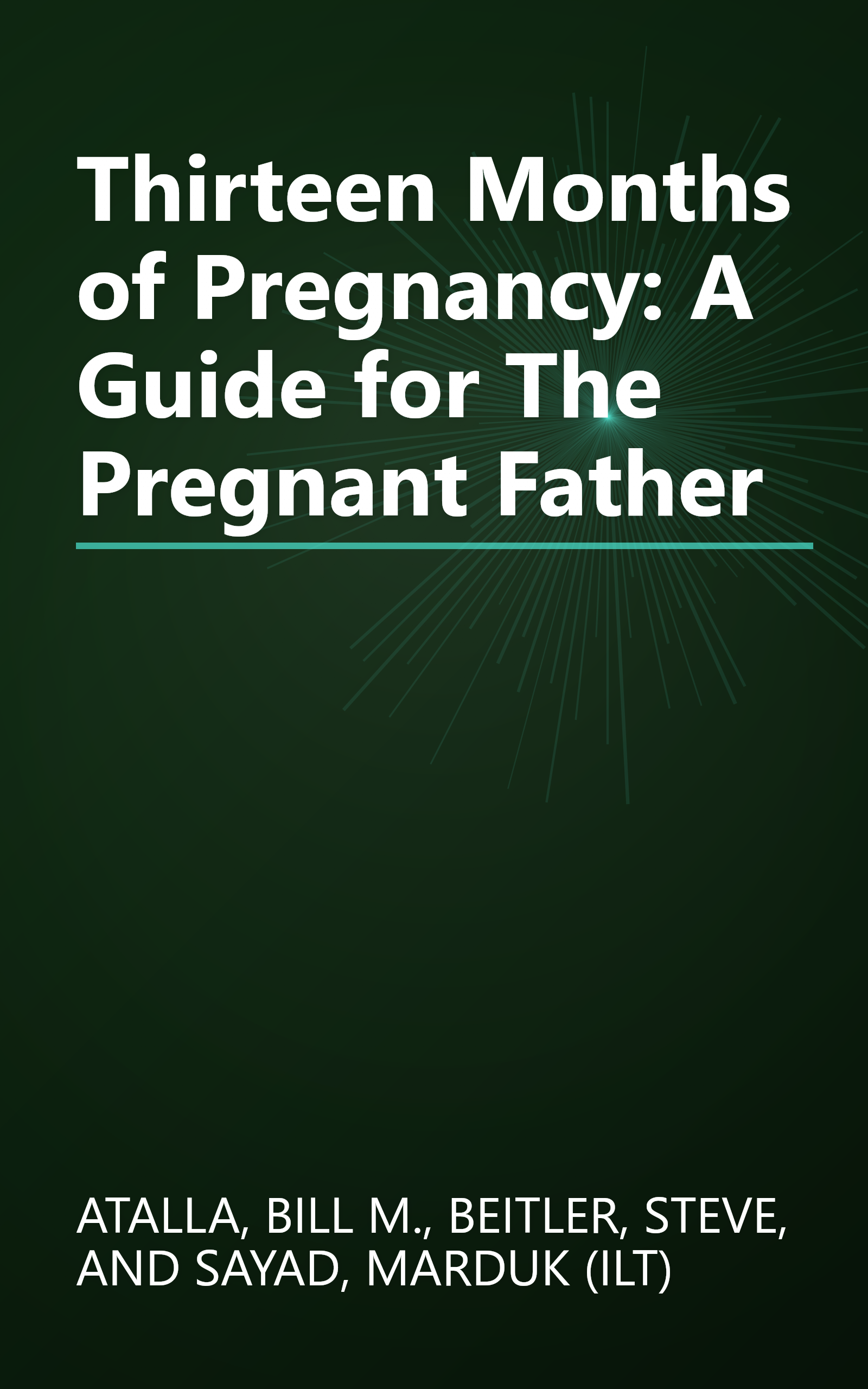 Thirteen Months of Pregnancy: A Guide for The Pregnant Father book cover