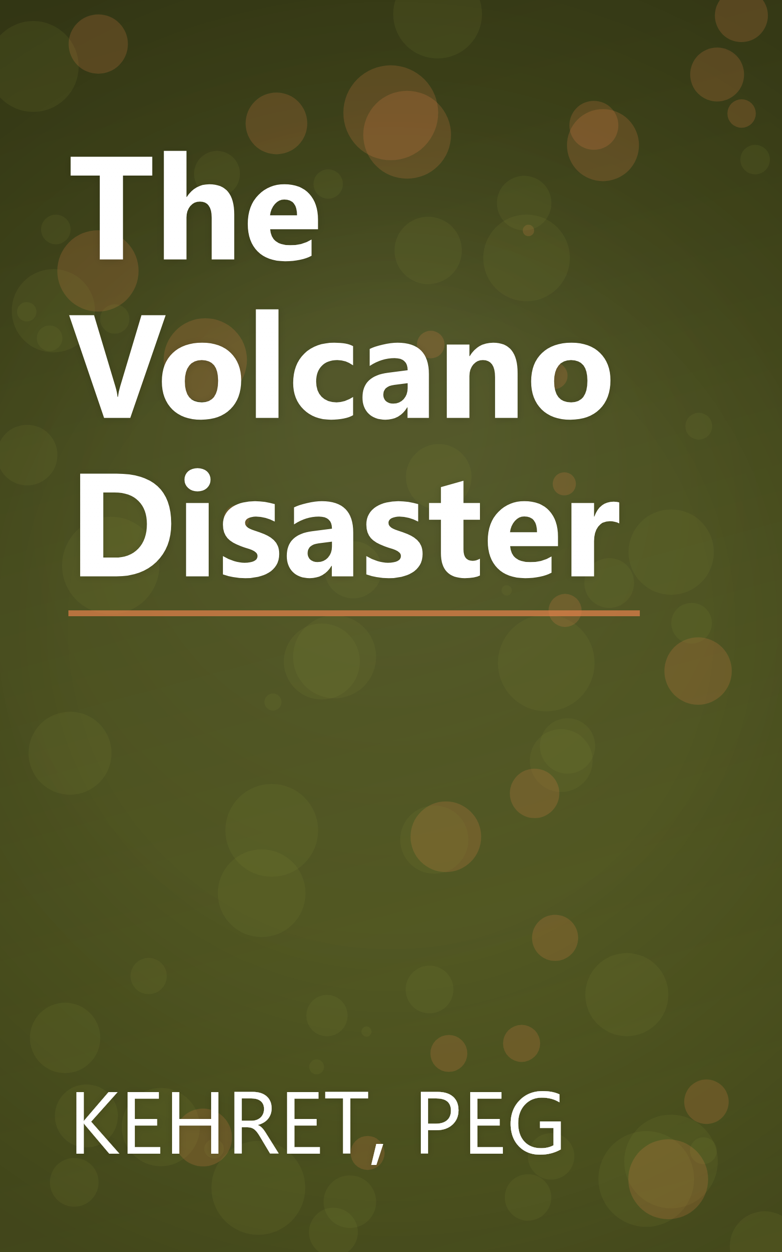 The Volcano Disaster book cover