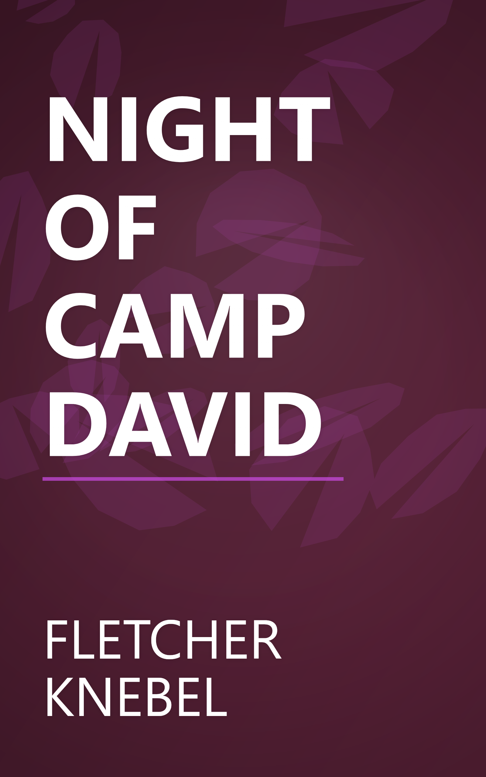 NIGHT OF CAMP DAVID book cover