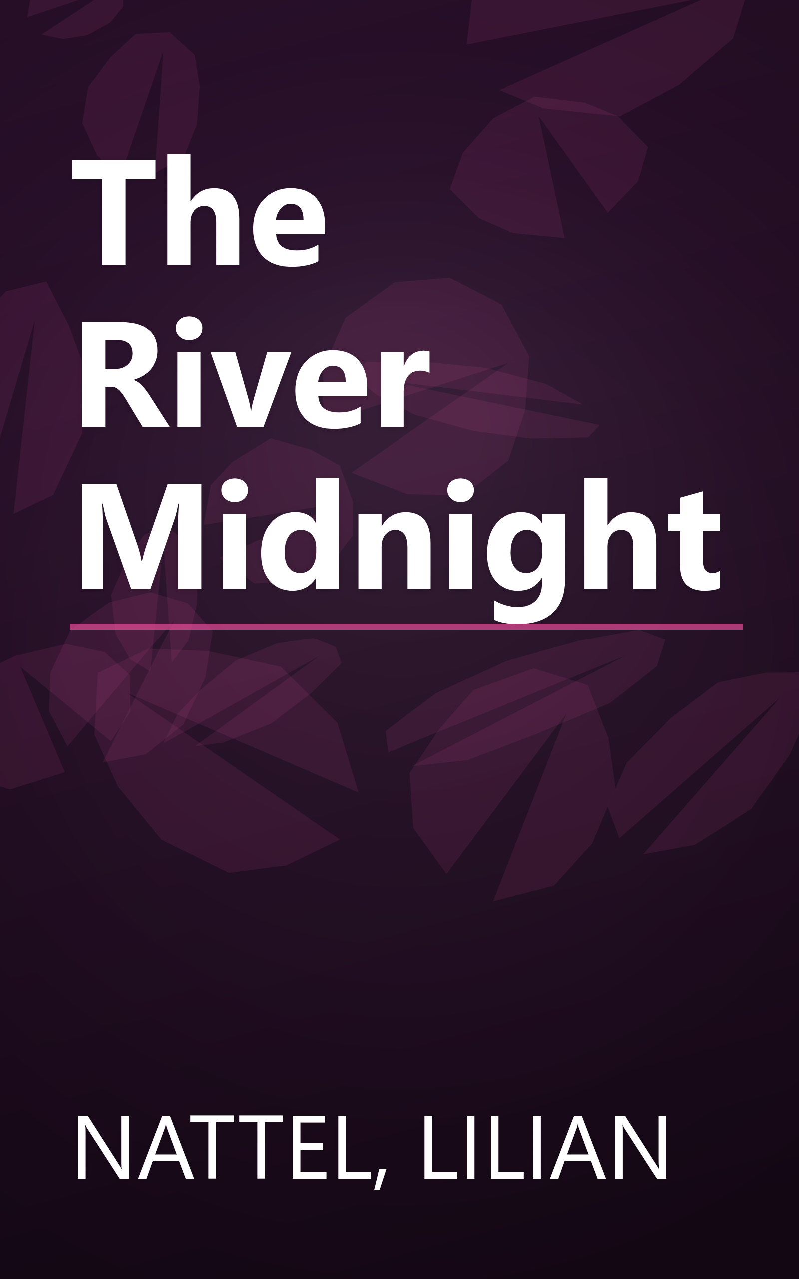 The River Midnight book cover