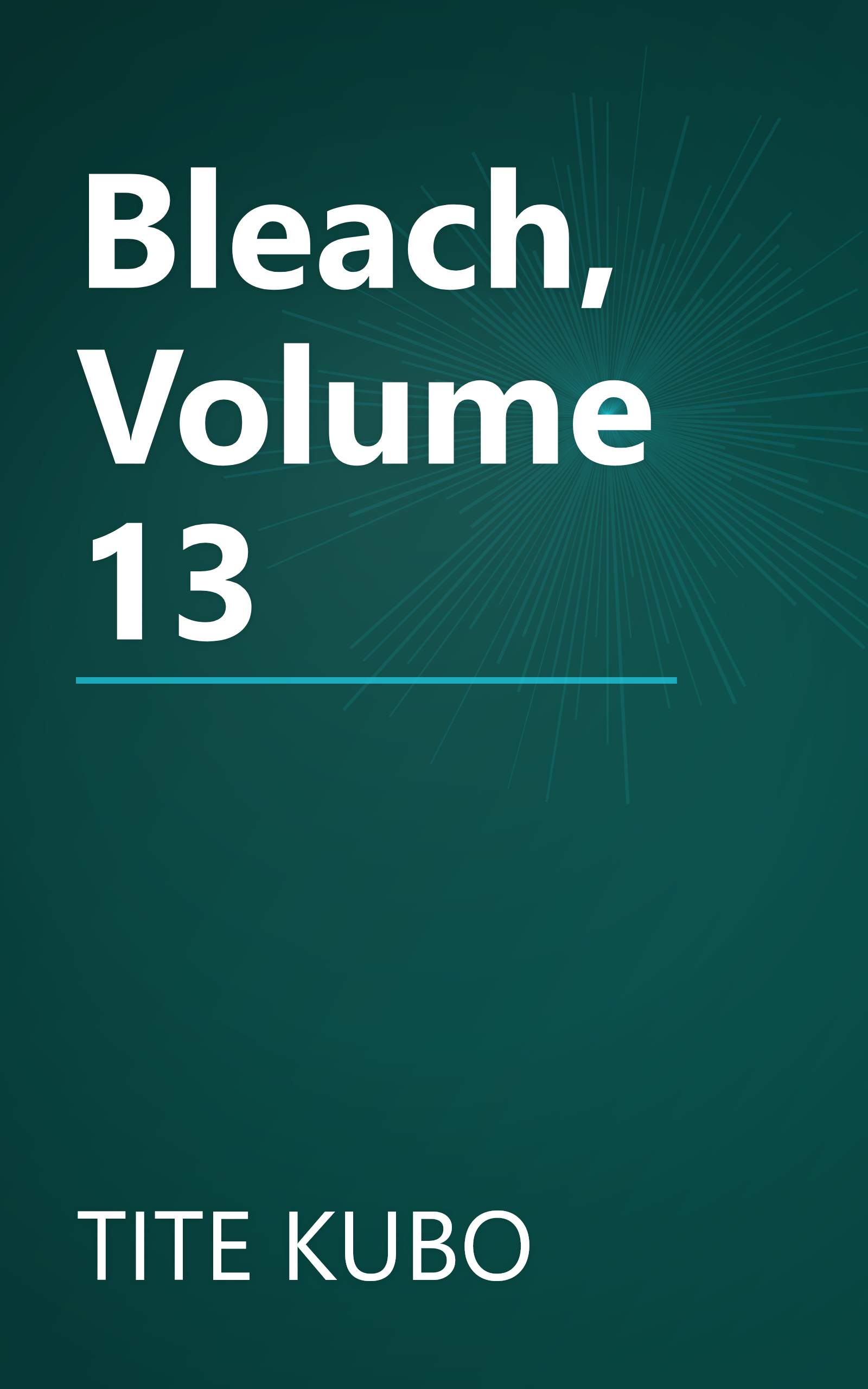 Bleach, Volume 13 book cover