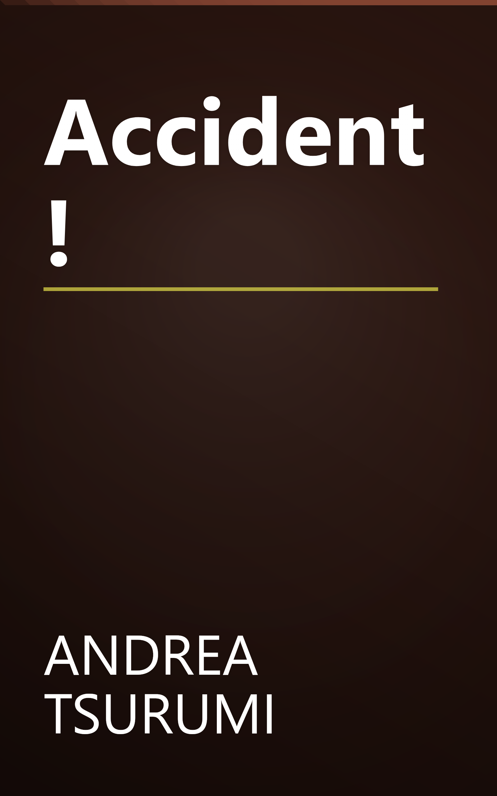 Accident! book cover