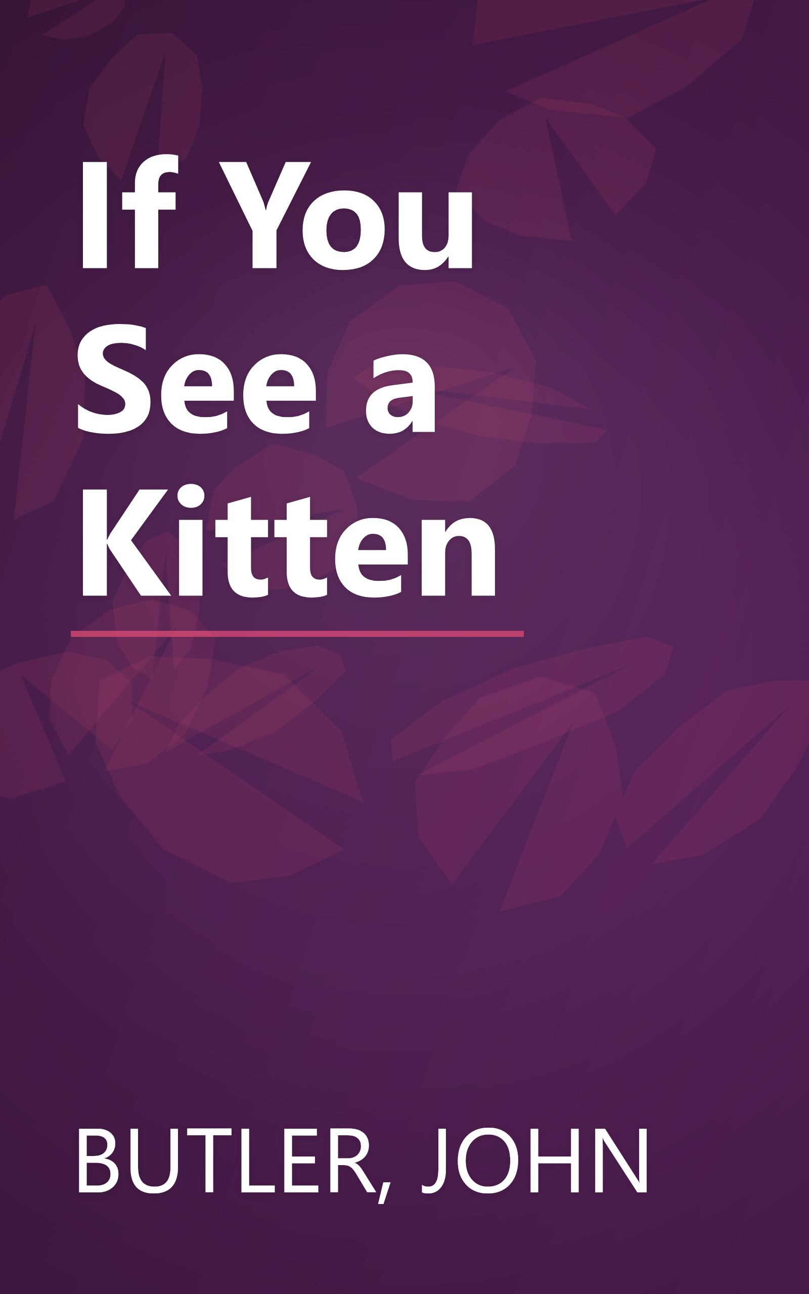 If You See a Kitten book cover