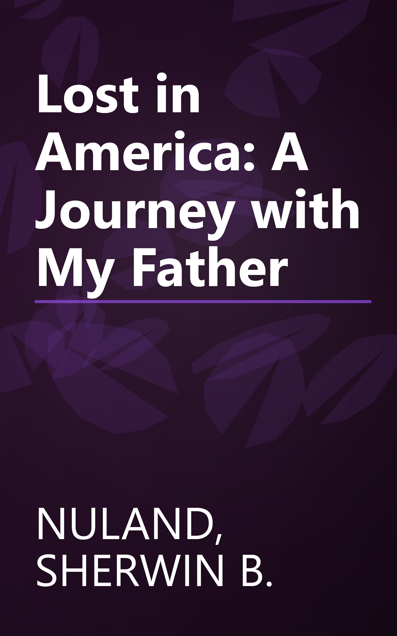 Lost in America: A Journey with My Father book cover