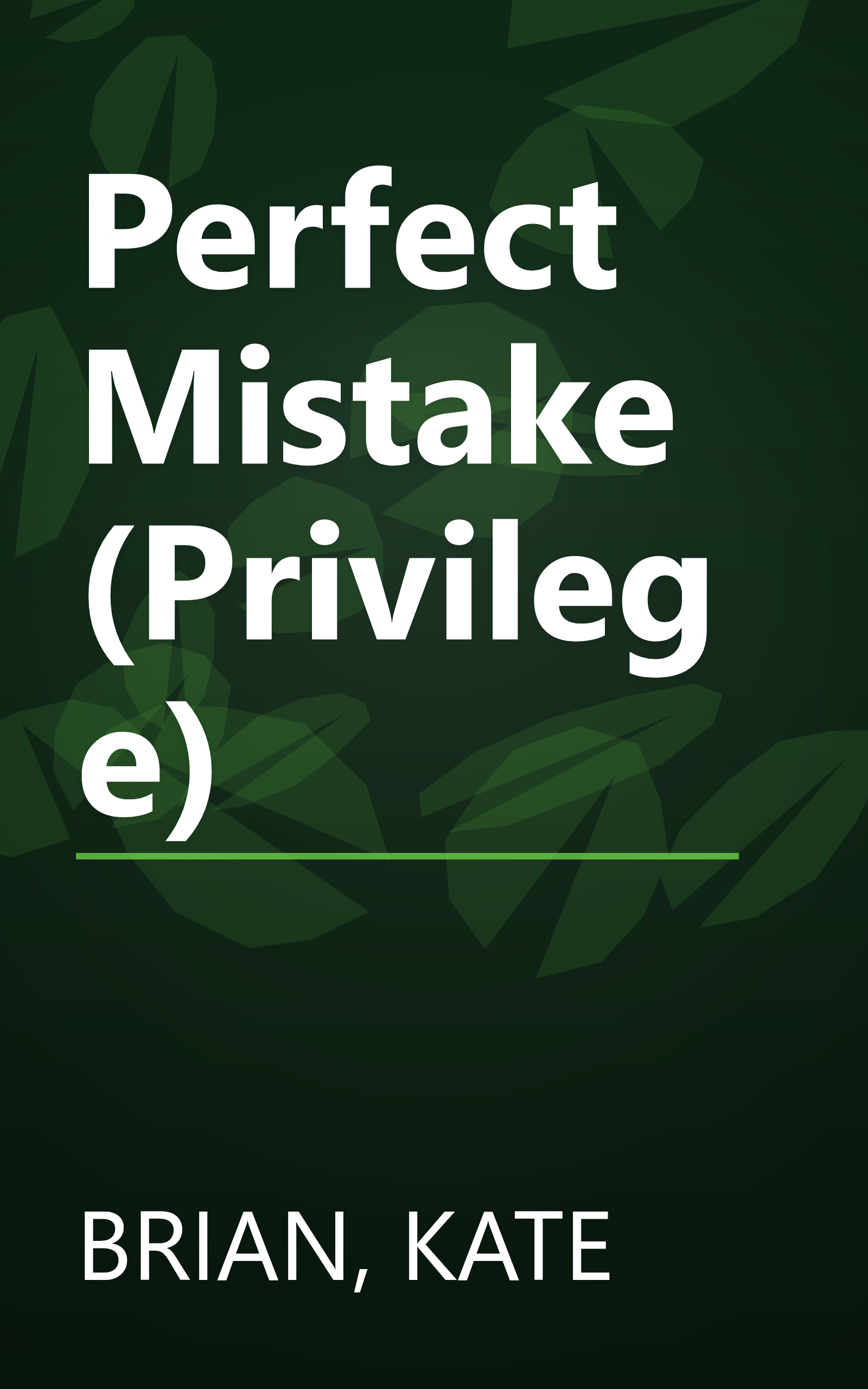 Perfect Mistake (Privilege) book cover