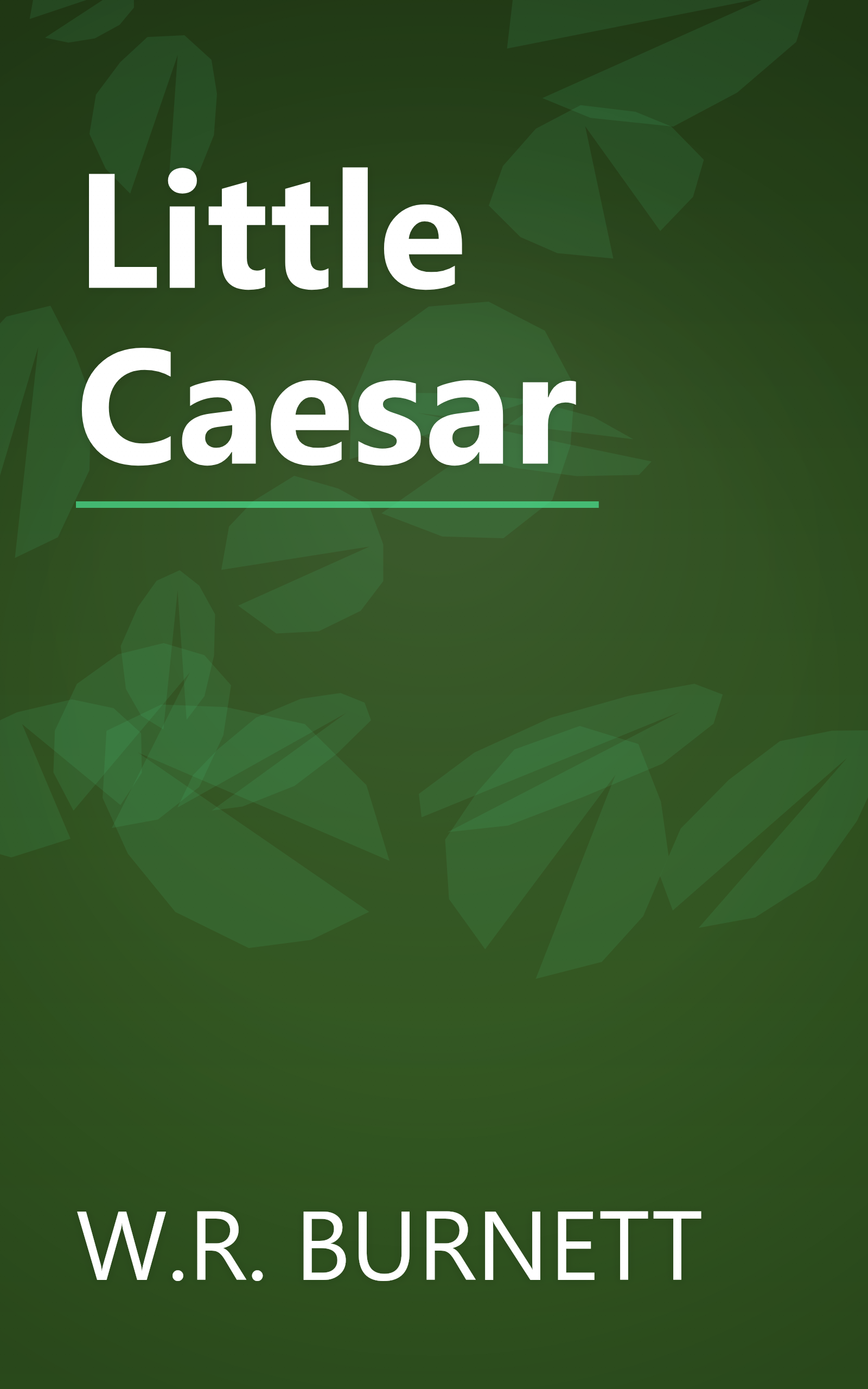 Little Caesar book cover