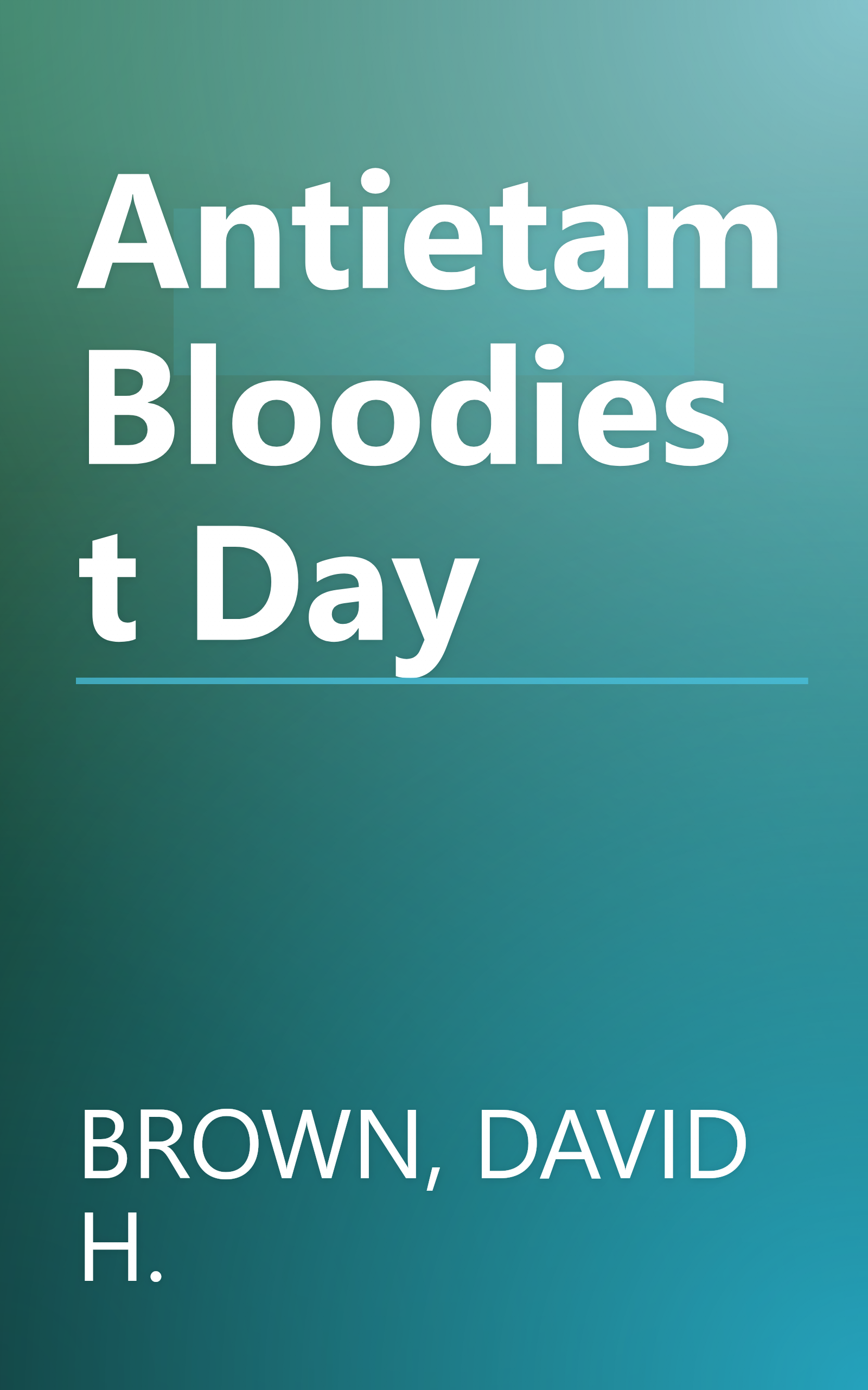 Antietam Bloodiest Day book cover