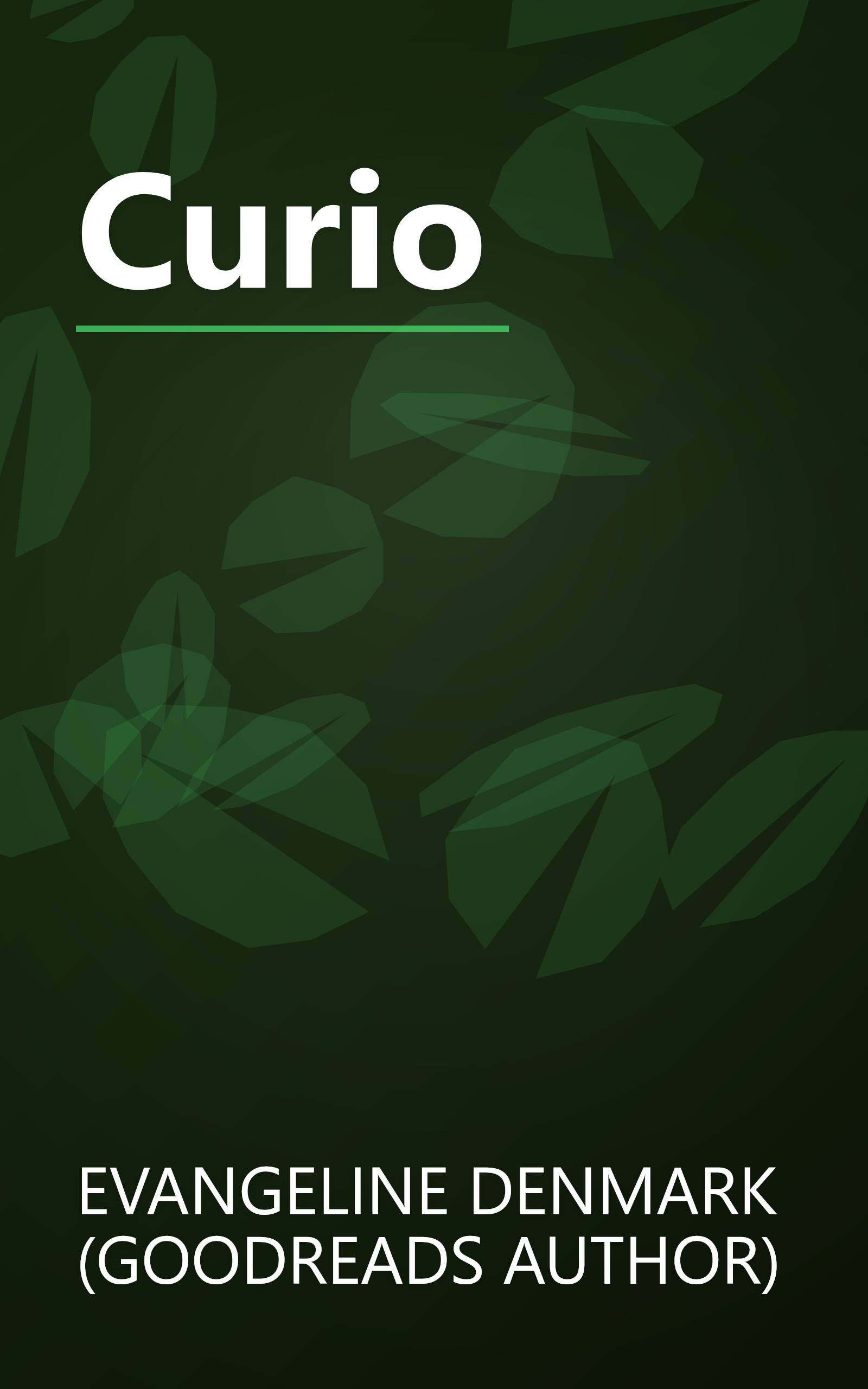 Curio book cover