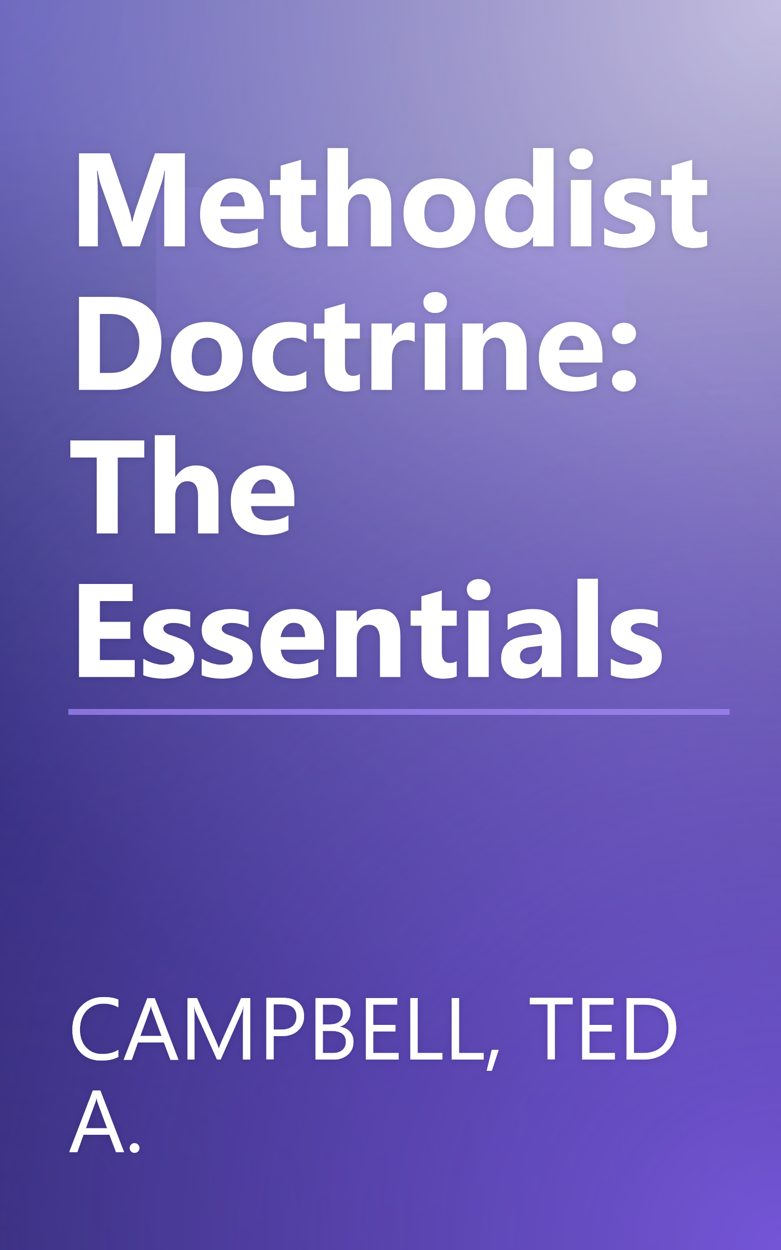 Methodist Doctrine: The Essentials book cover