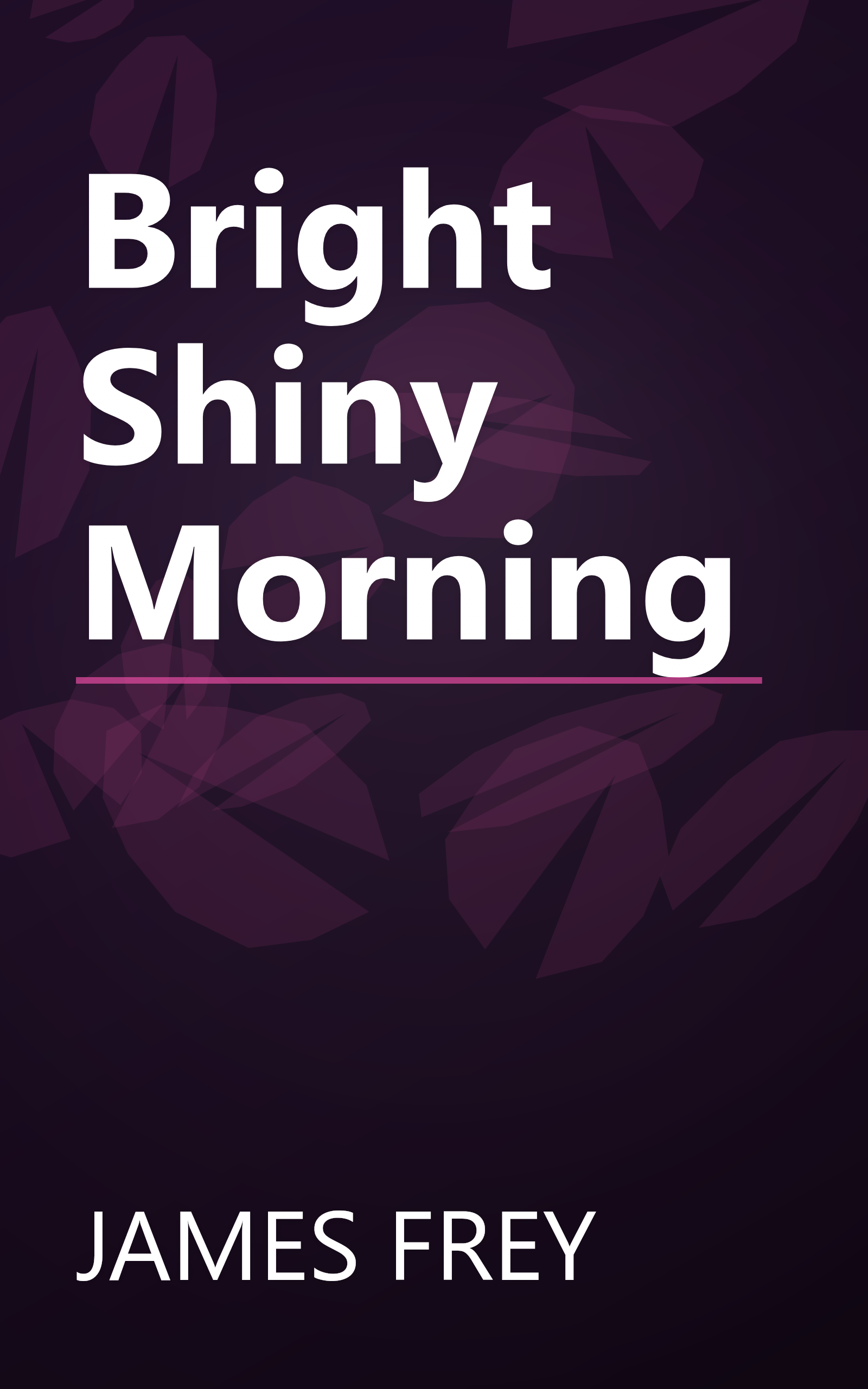Bright Shiny Morning book cover