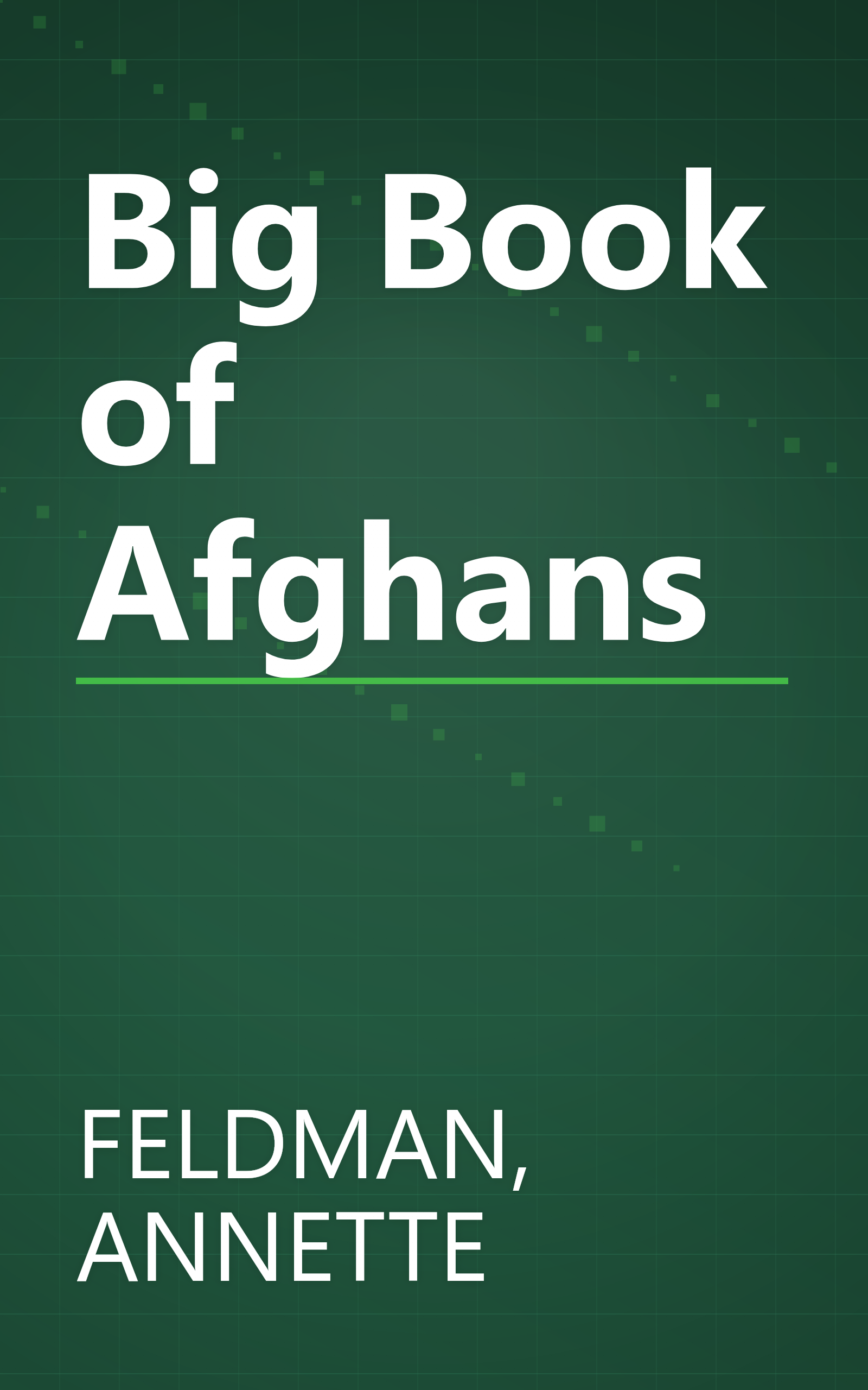 Big Book of Afghans book cover