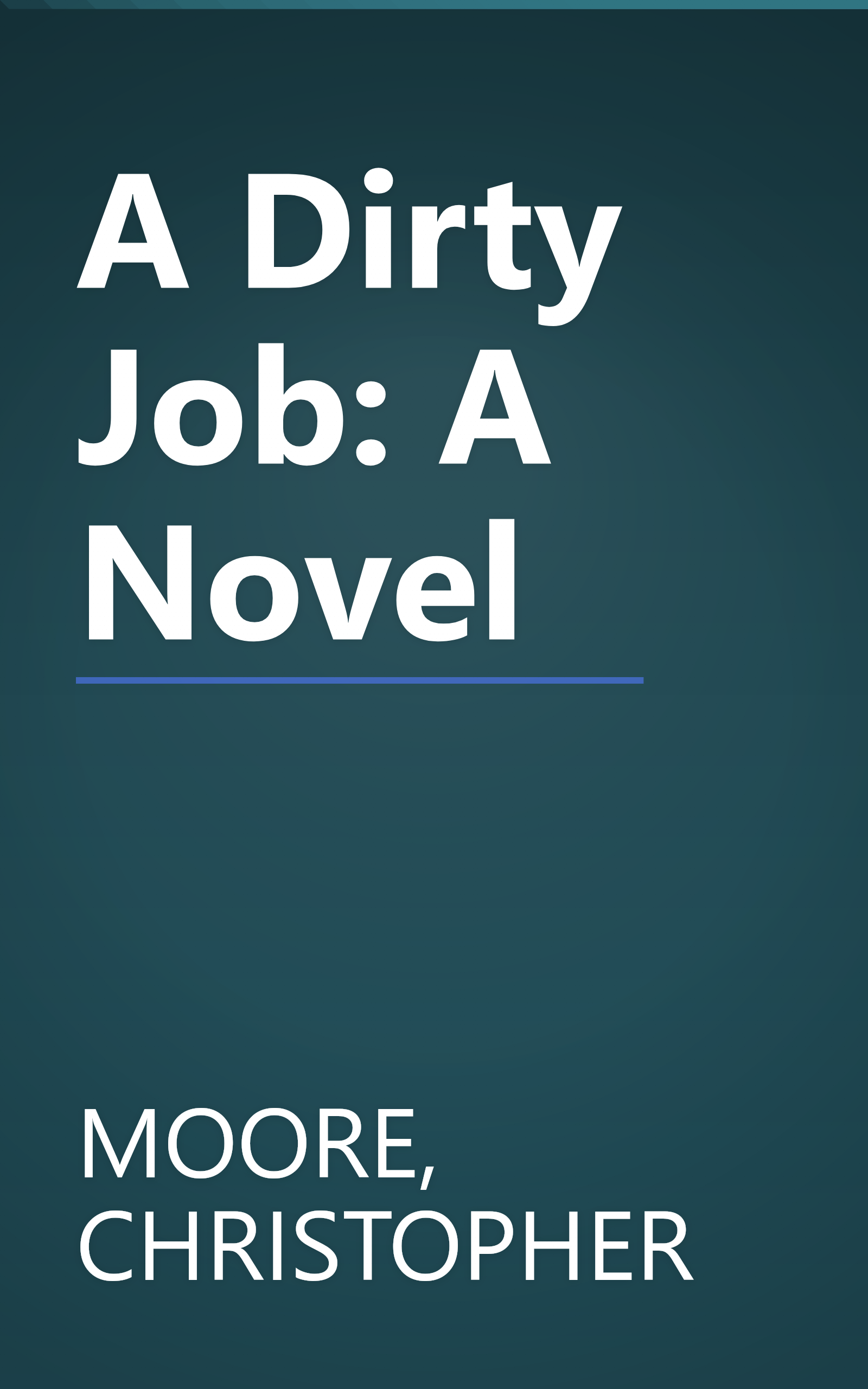 A Dirty Job: A Novel book cover