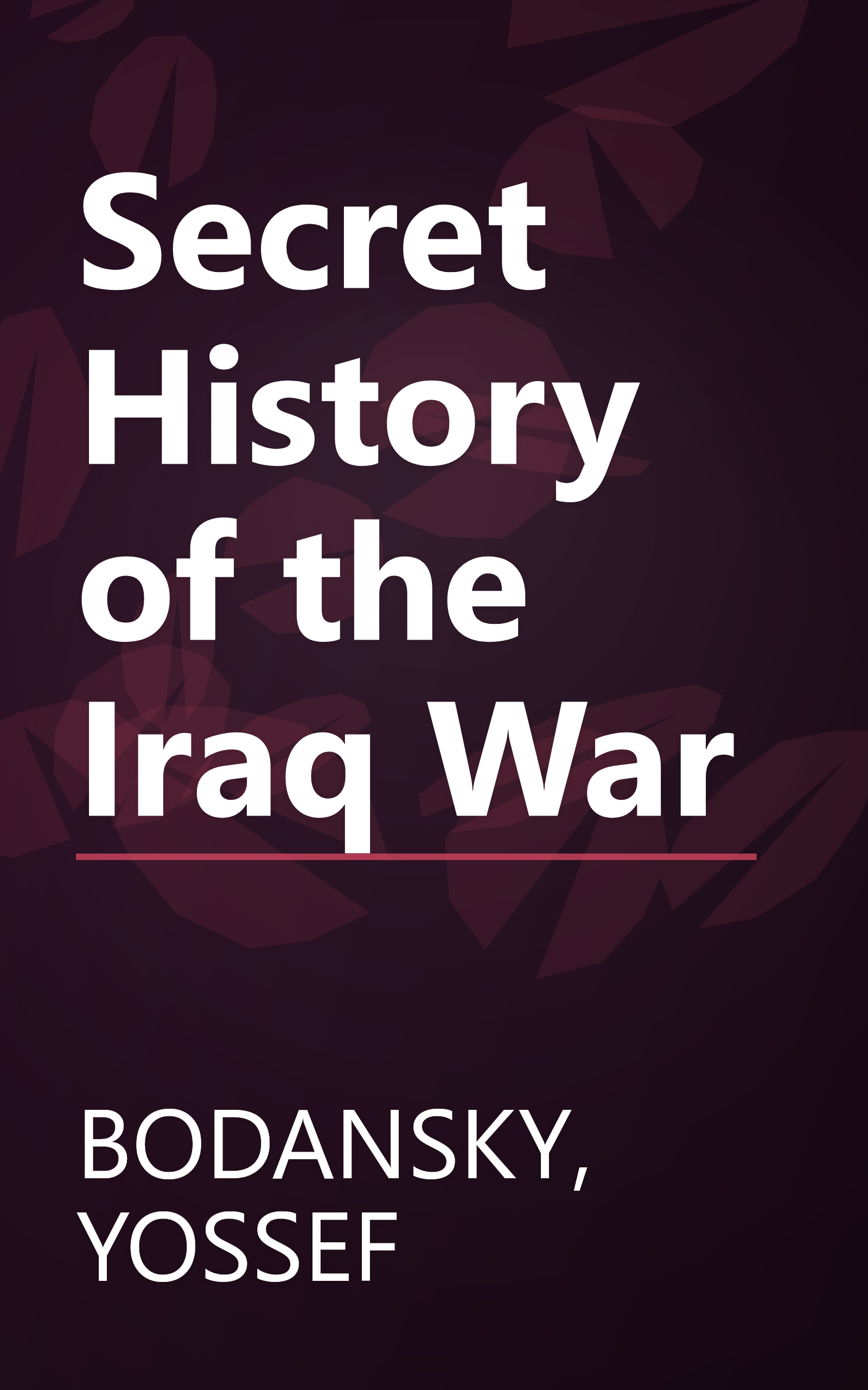 Secret History of the Iraq War book cover