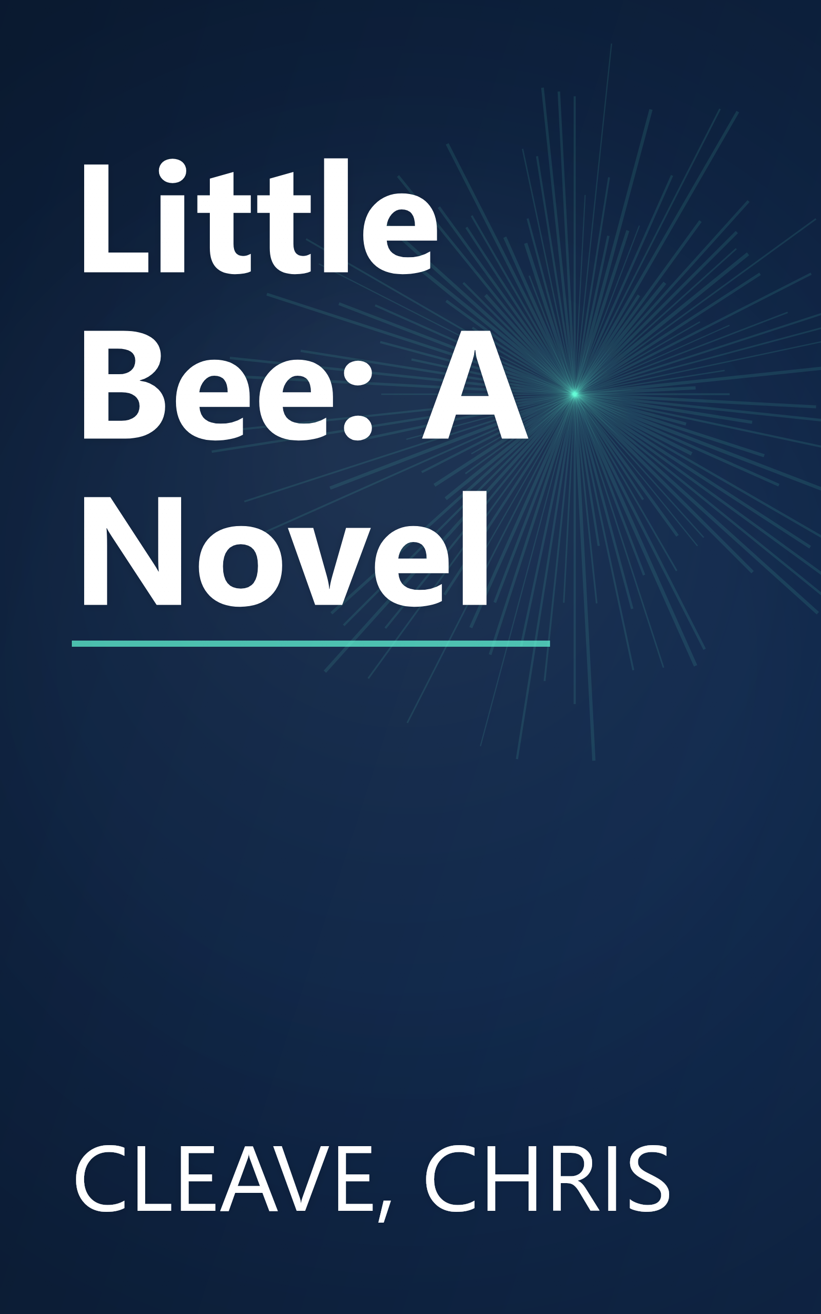 Little Bee: A Novel book cover