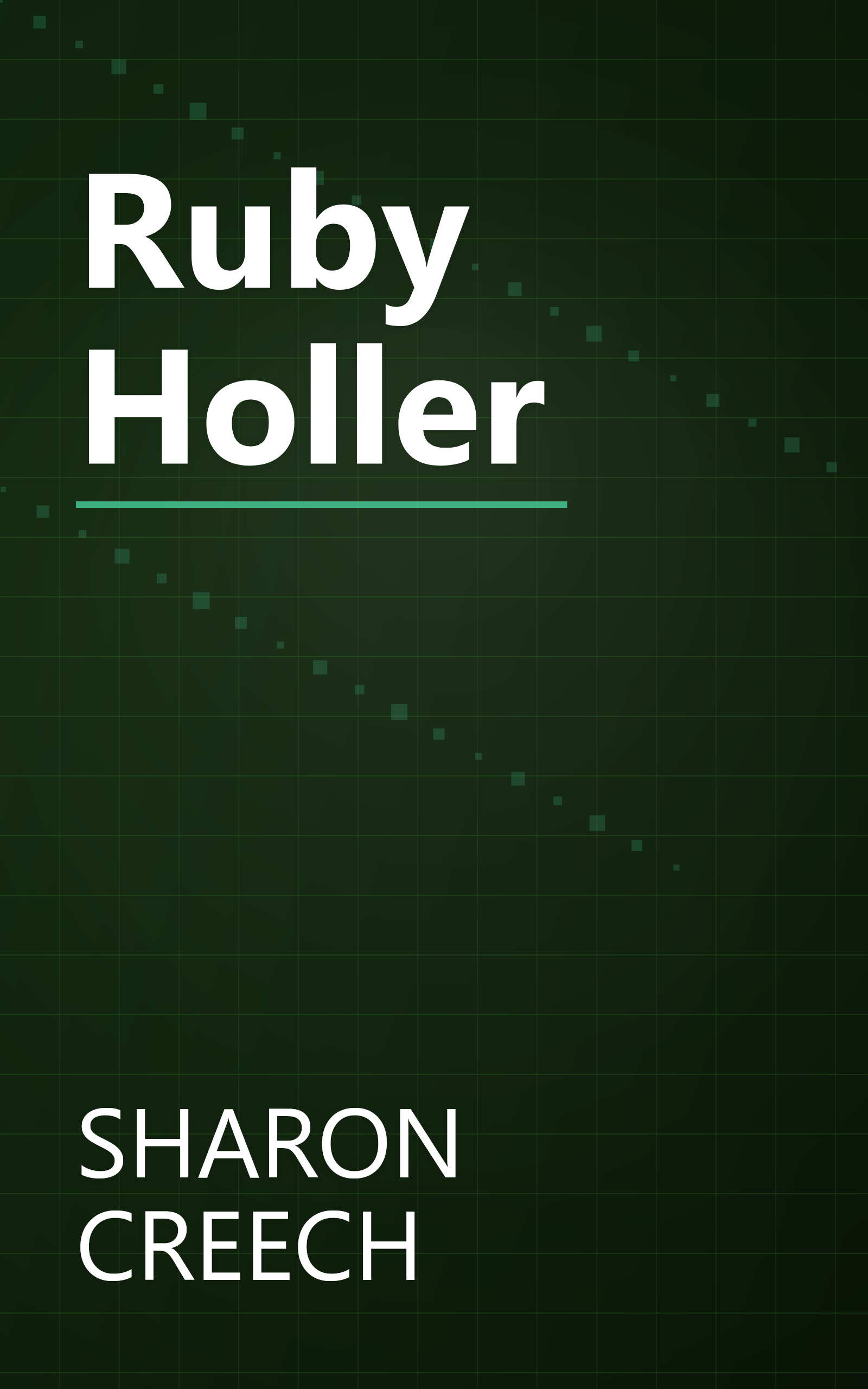 Ruby Holler book cover