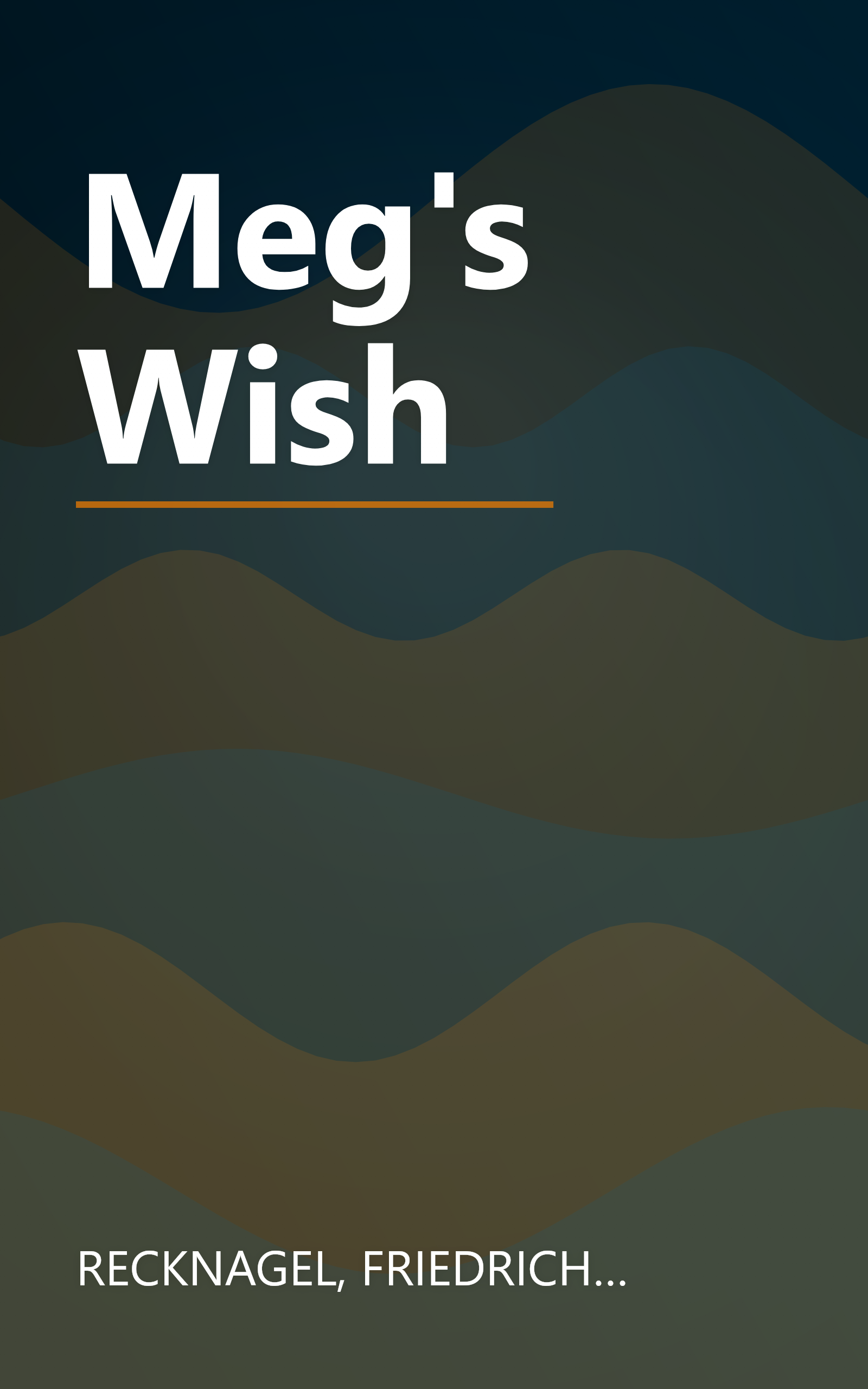 Meg's Wish book cover
