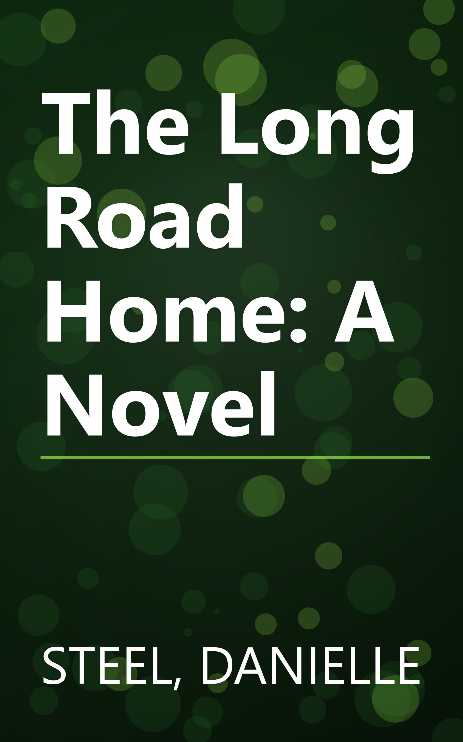 The Long Road Home: A Novel book cover