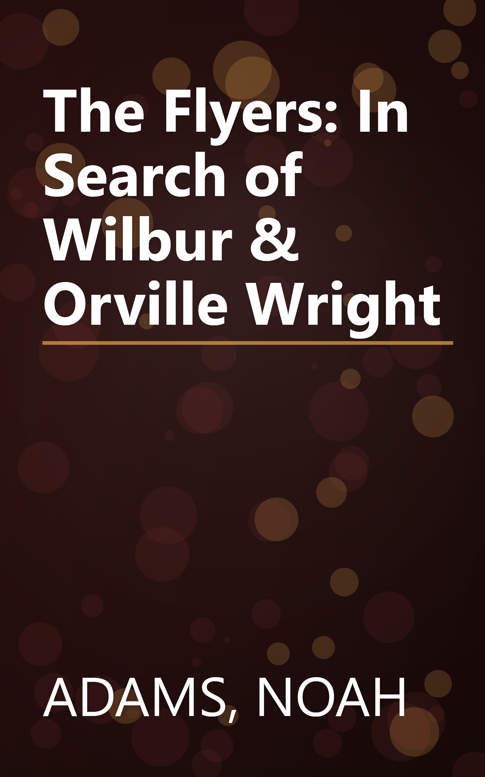 The Flyers: In Search of Wilbur & Orville Wright book cover