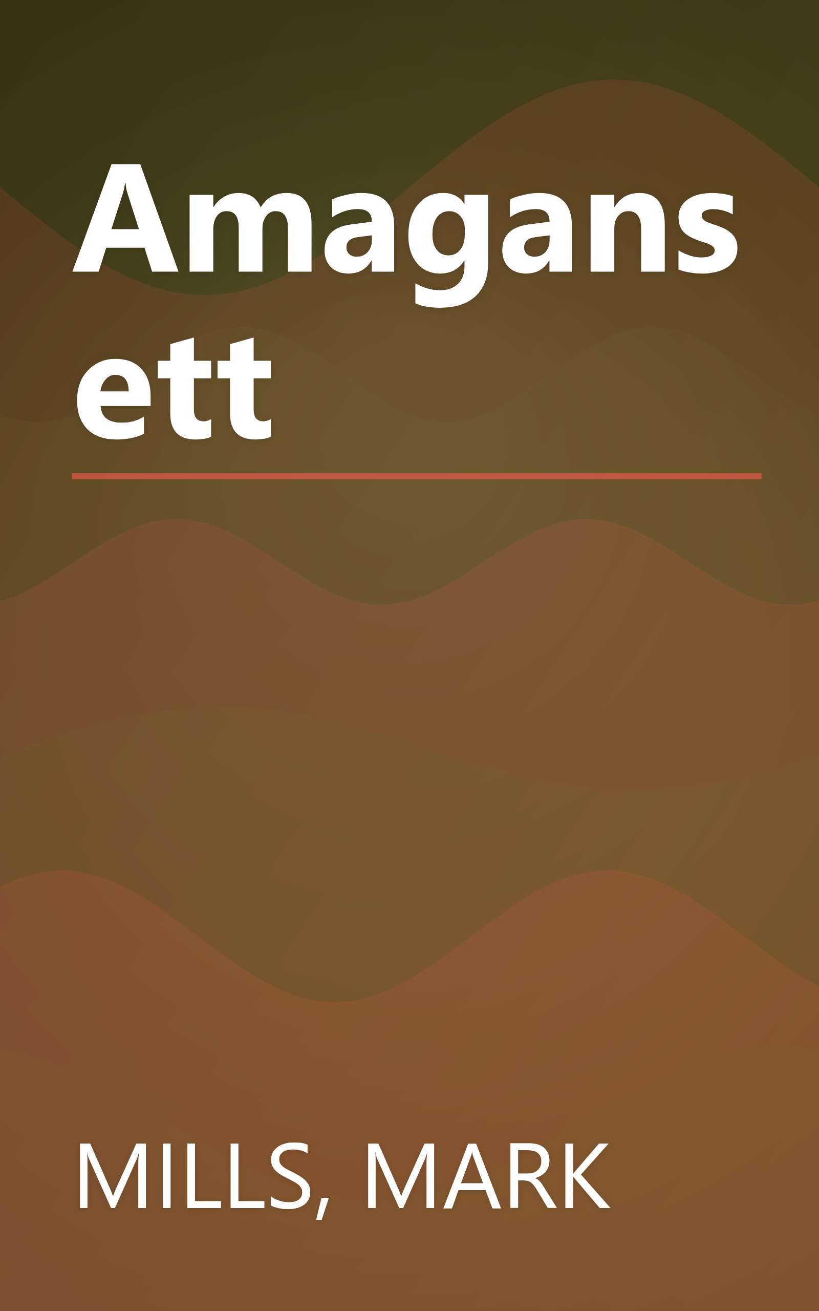 Amagansett book cover