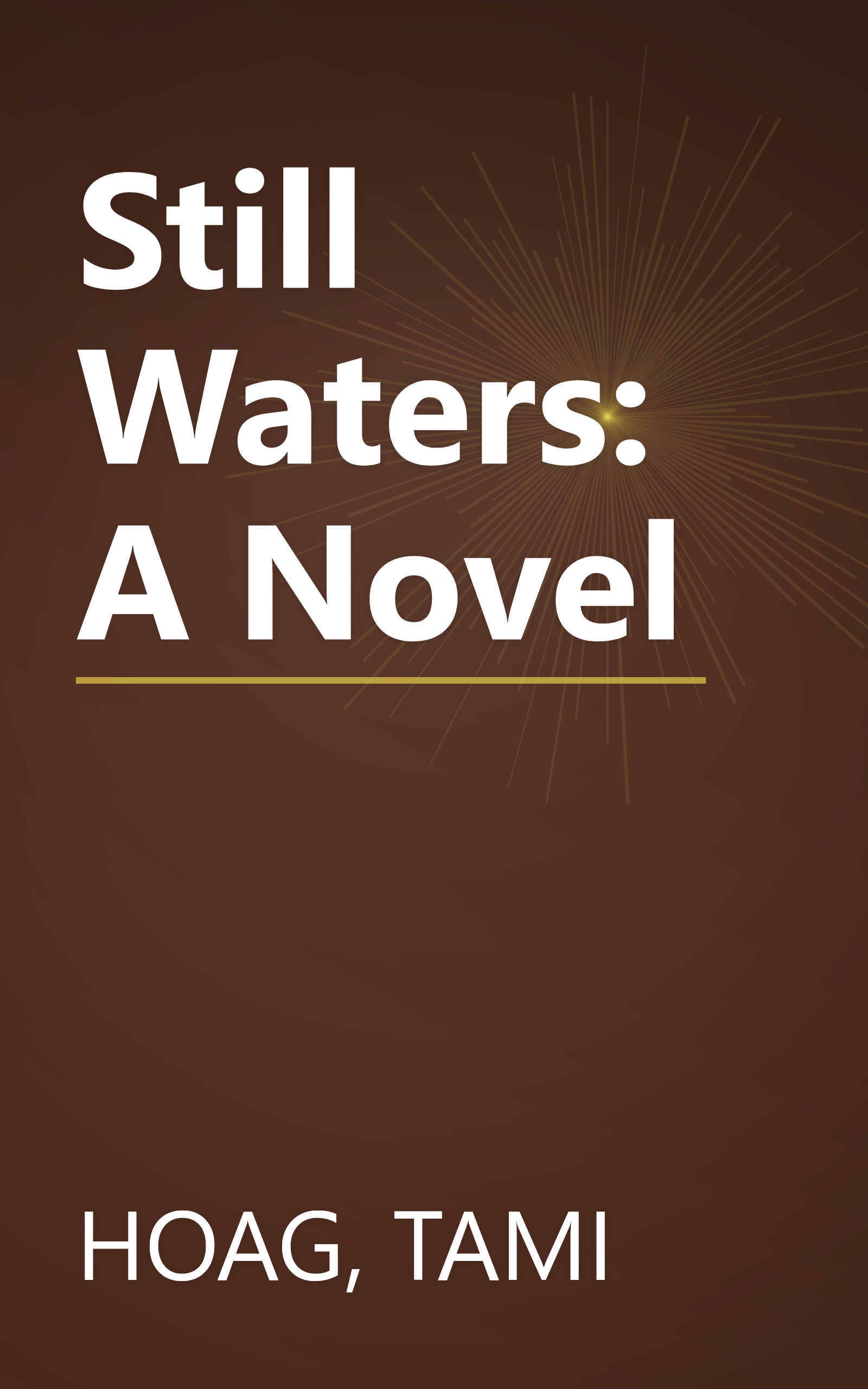 Still Waters: A Novel book cover