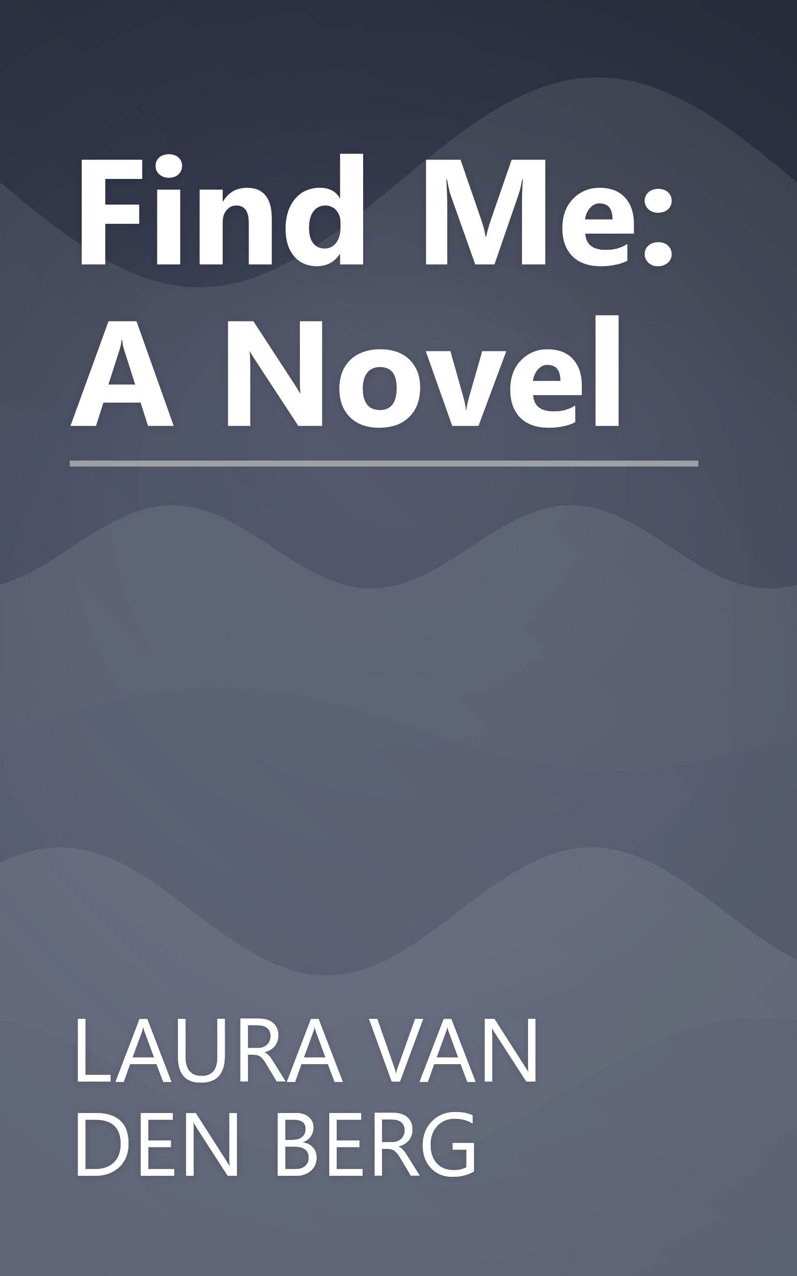 Find Me: A Novel book cover