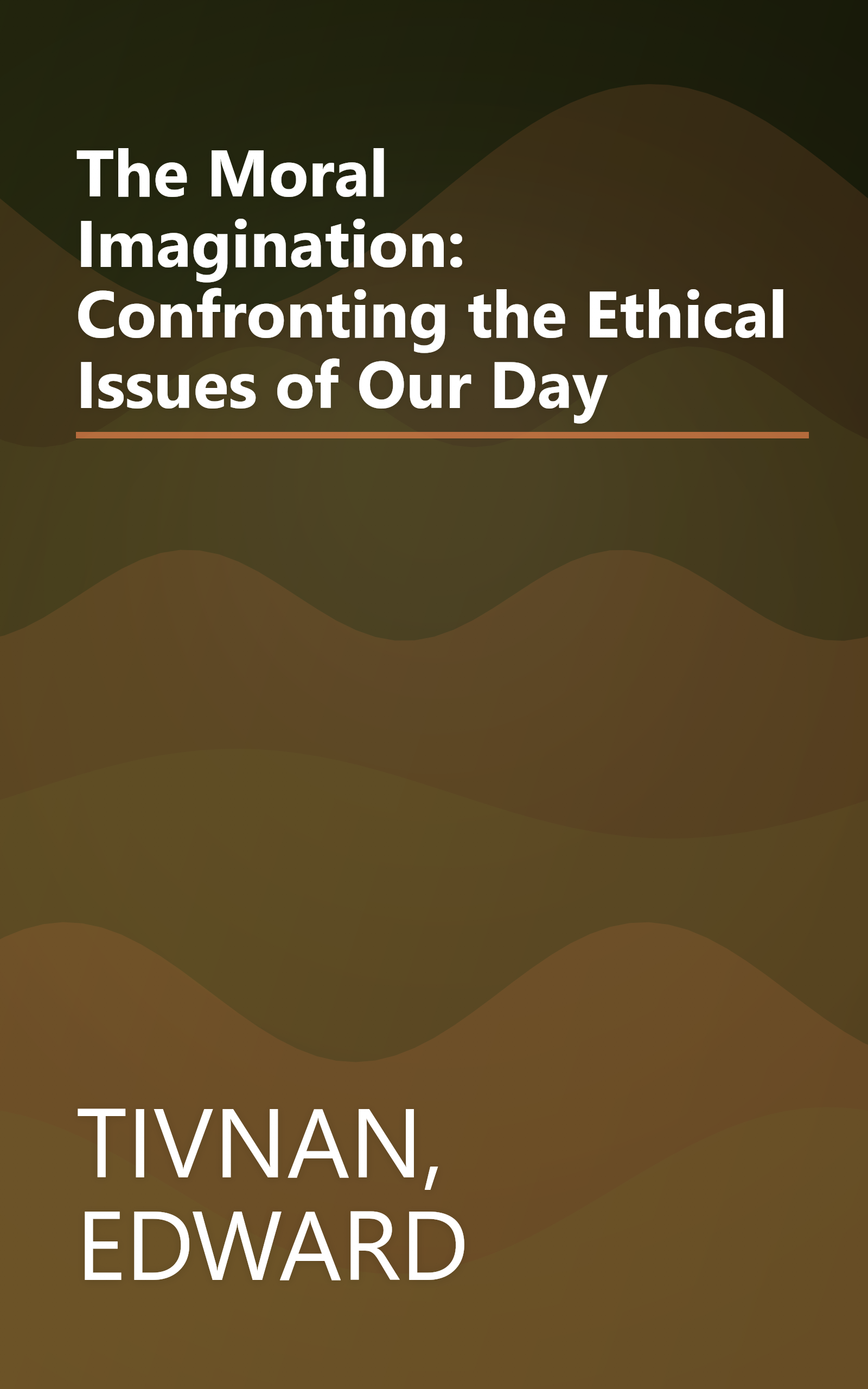 The Moral Imagination: Confronting the Ethical Issues of Our Day book cover