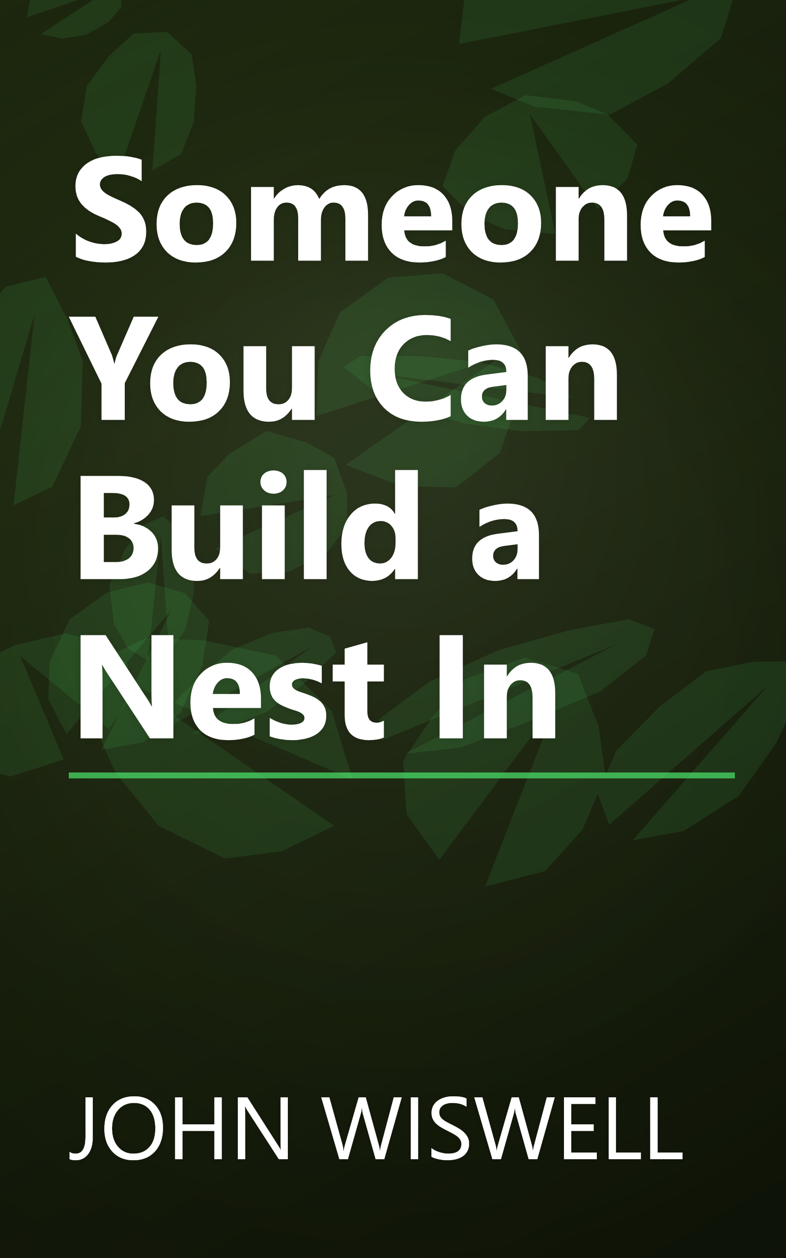 Someone You Can Build a Nest In book cover