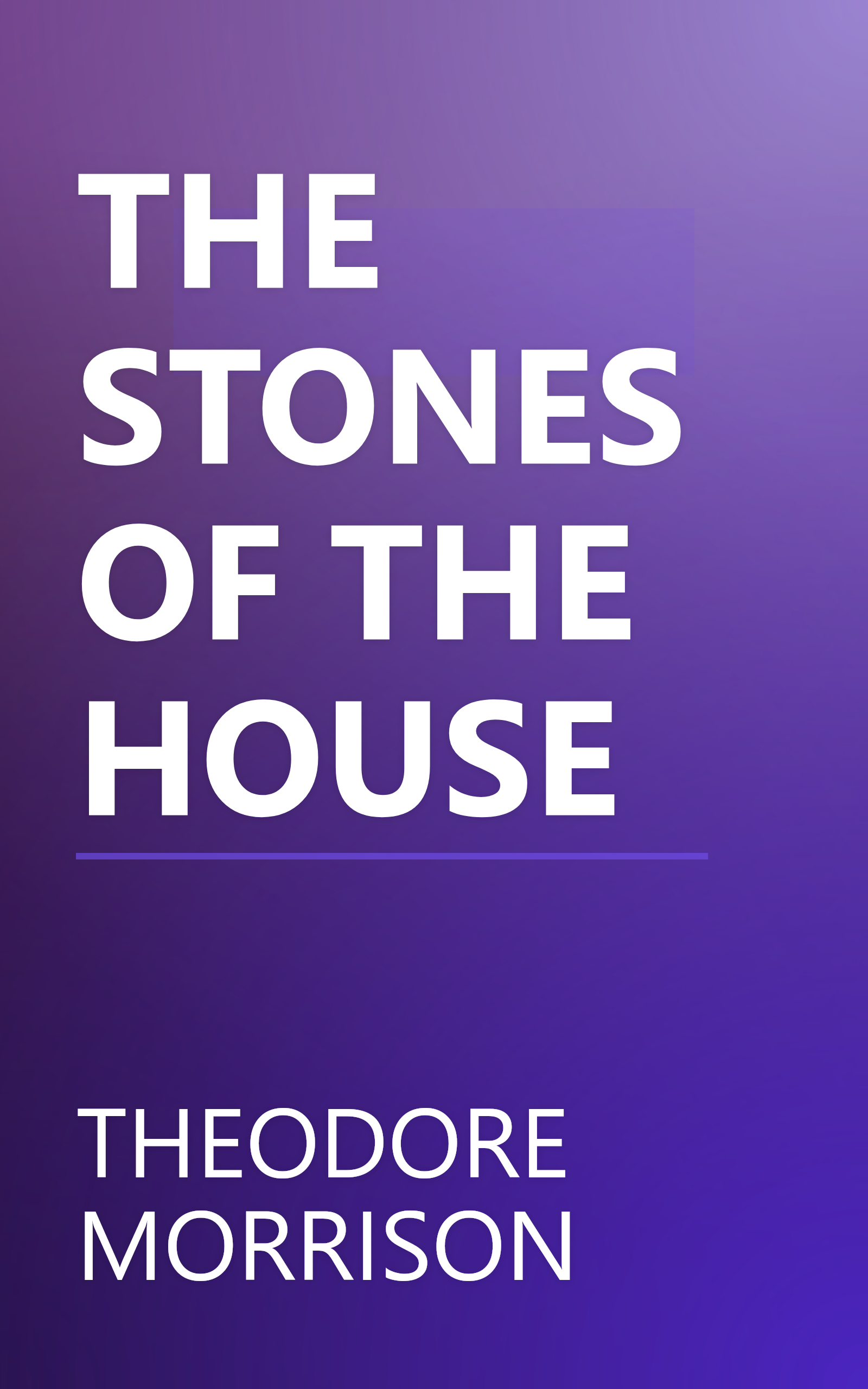 THE STONES OF THE HOUSE book cover
