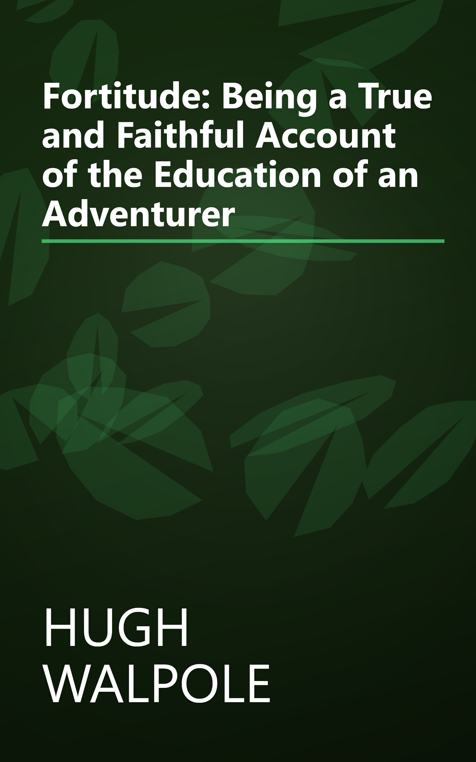 Fortitude: Being a True and Faithful Account of the Education of an Adventurer book cover