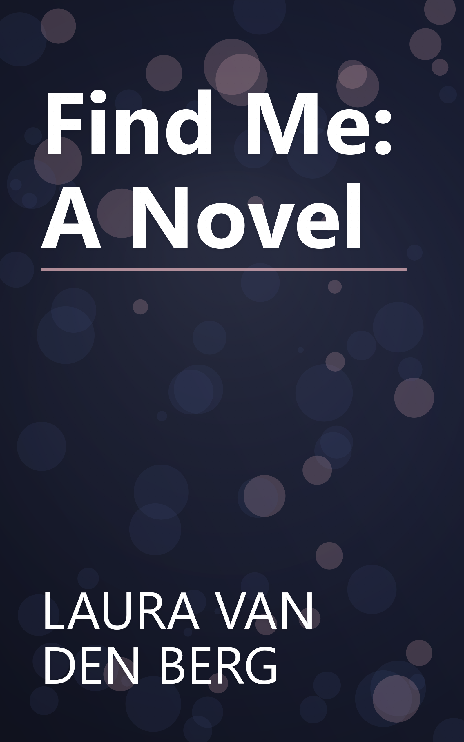 Find Me: A Novel book cover
