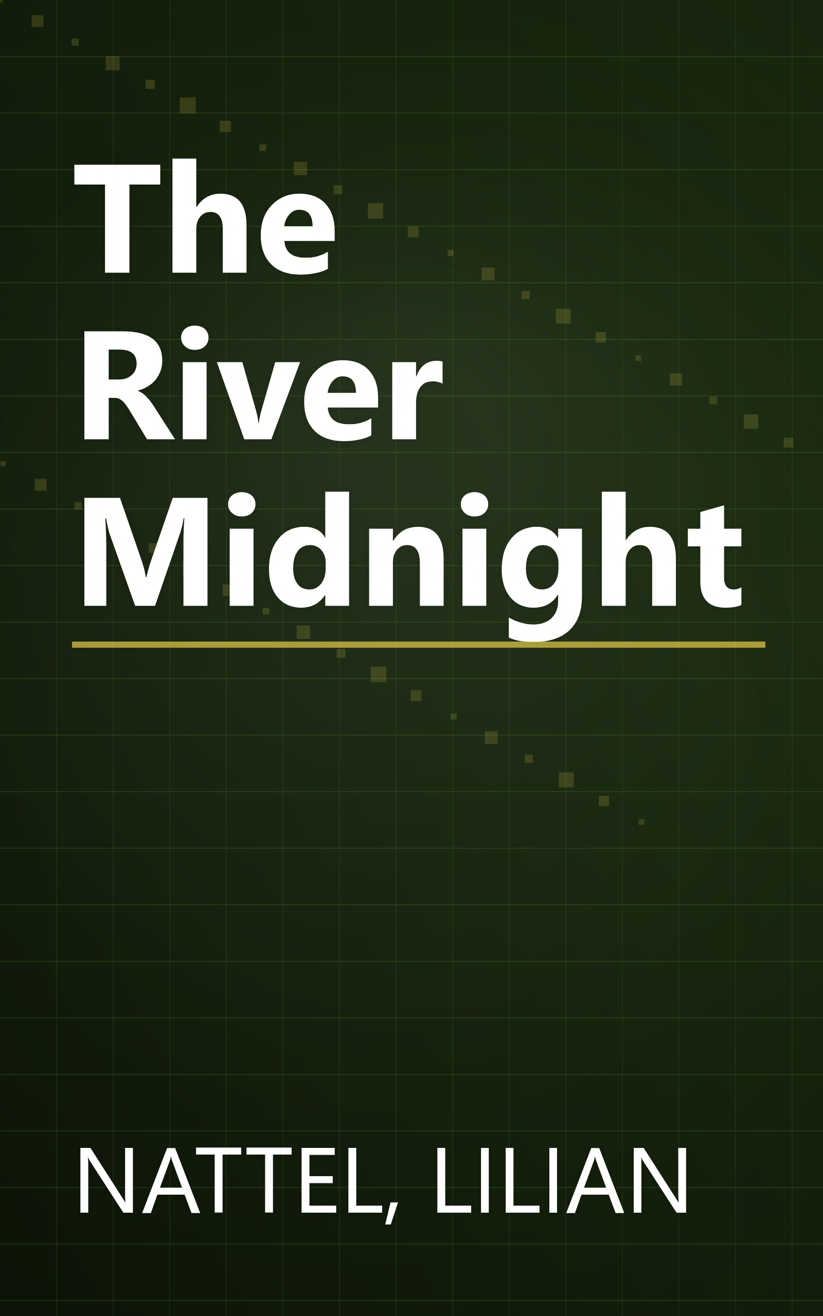 The River Midnight book cover
