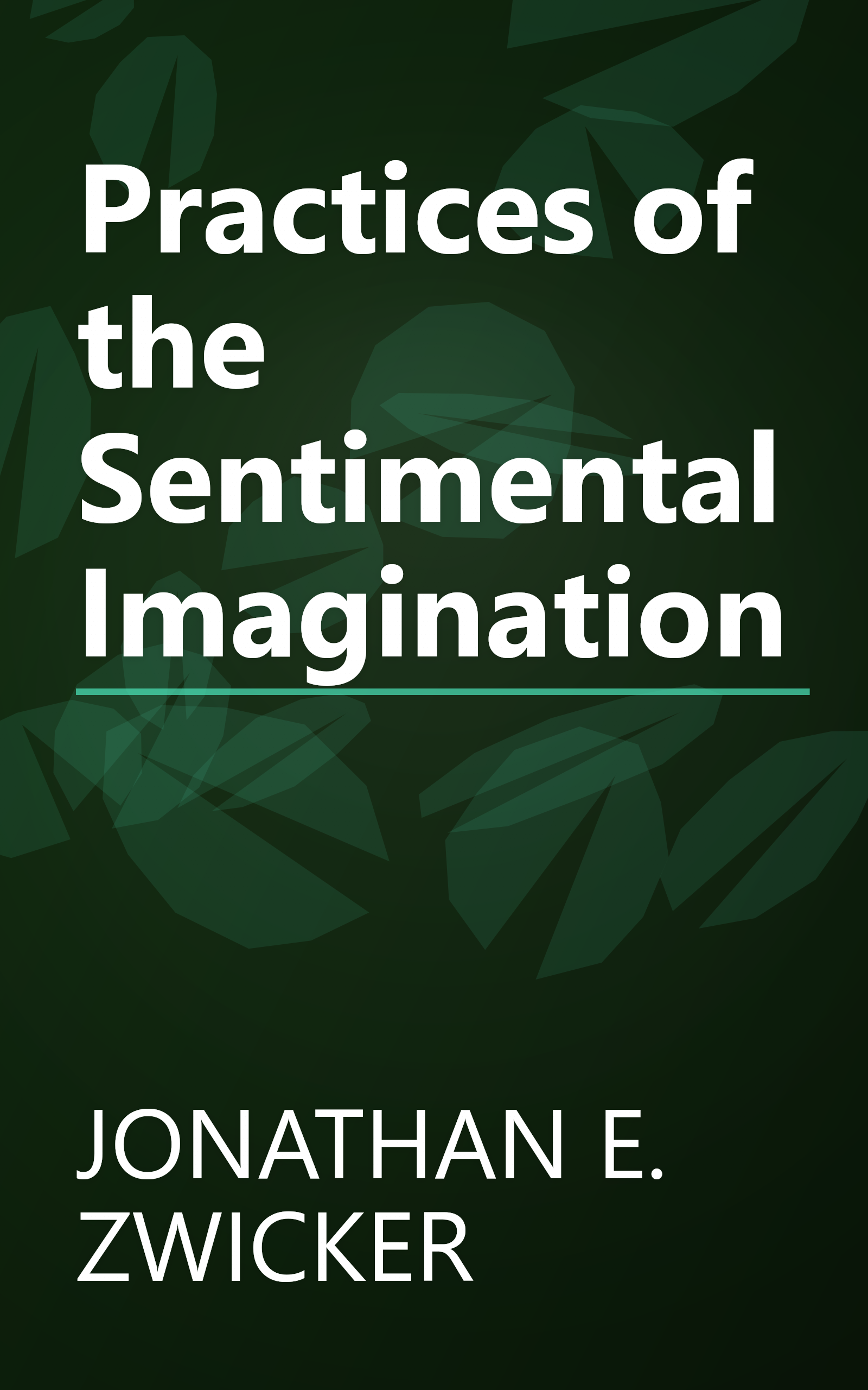 Practices of the Sentimental Imagination book cover