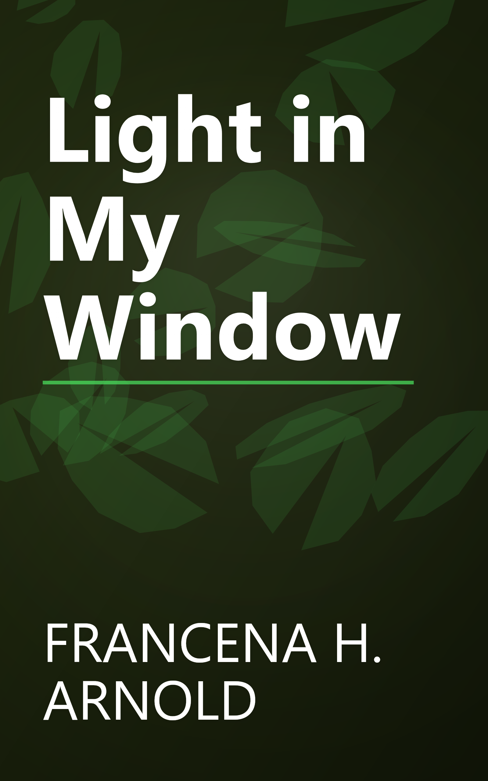 Light in My Window book cover