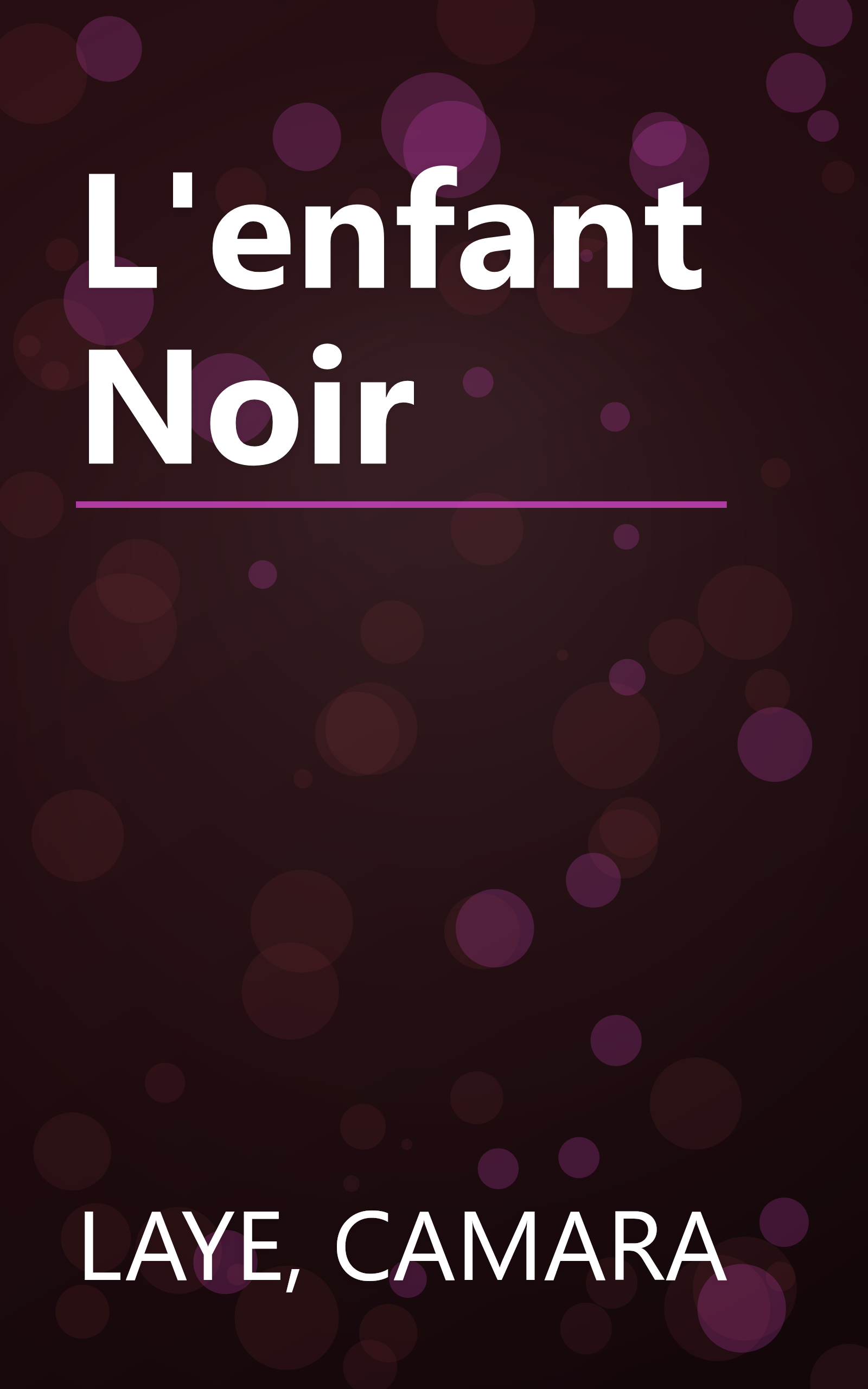 L'enfant Noir book cover