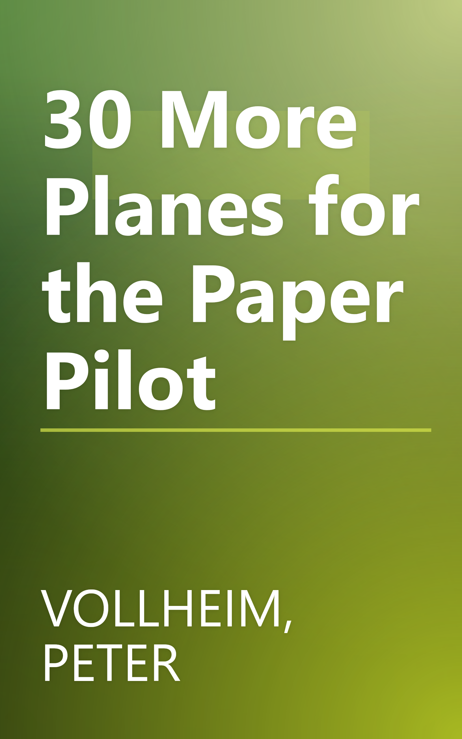 30 More Planes for the Paper Pilot book cover