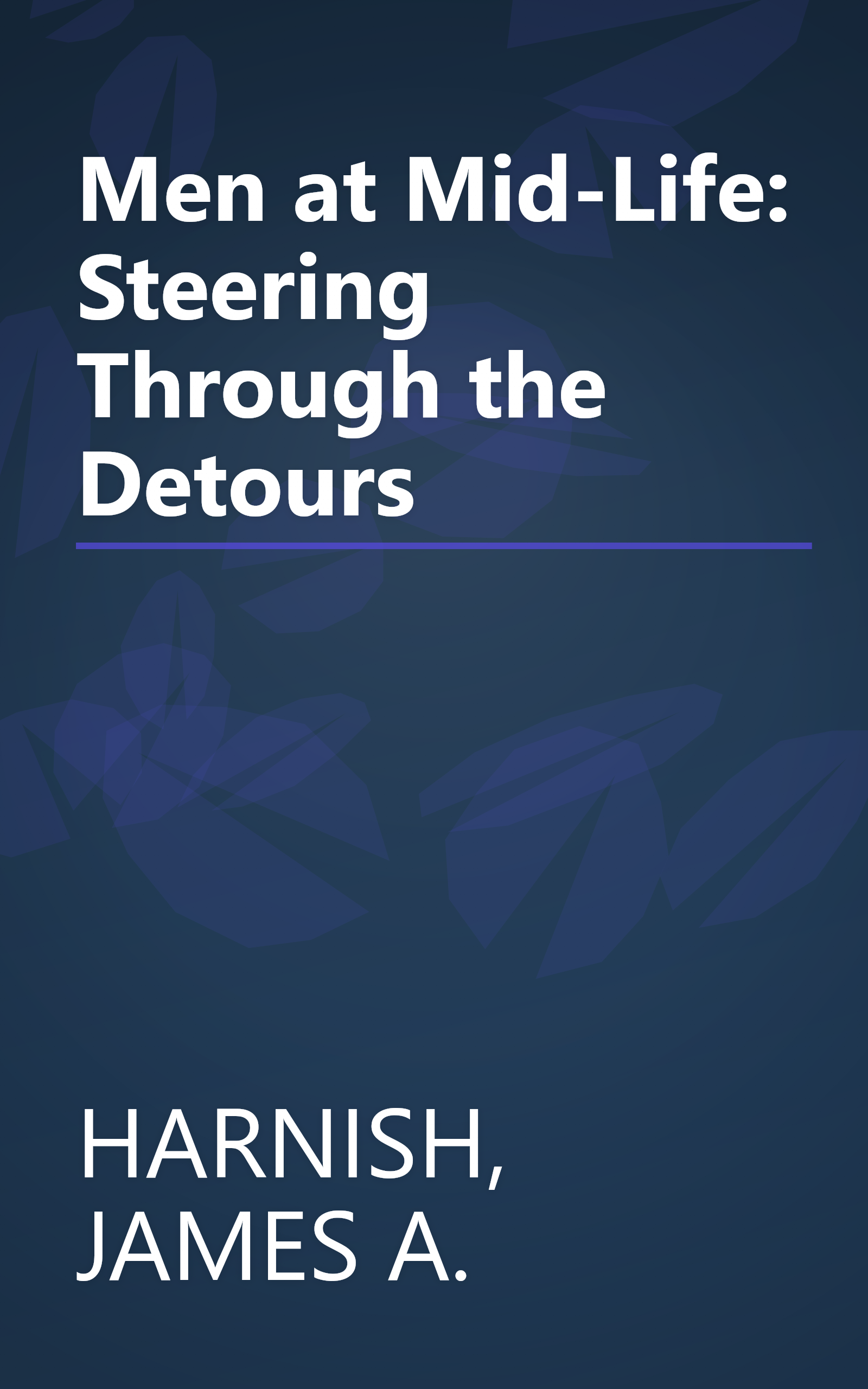 Men at Mid-Life: Steering Through the Detours book cover