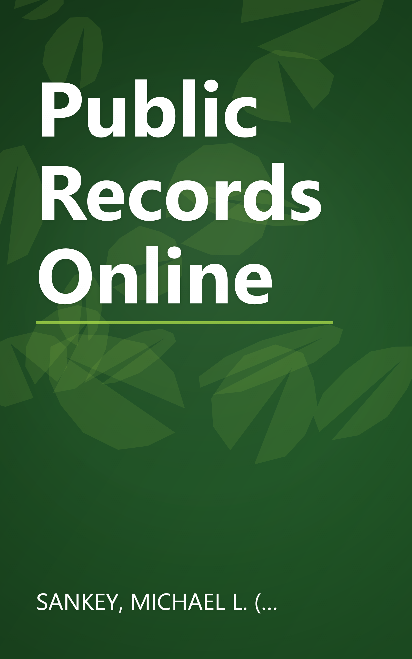Public Records Online book cover