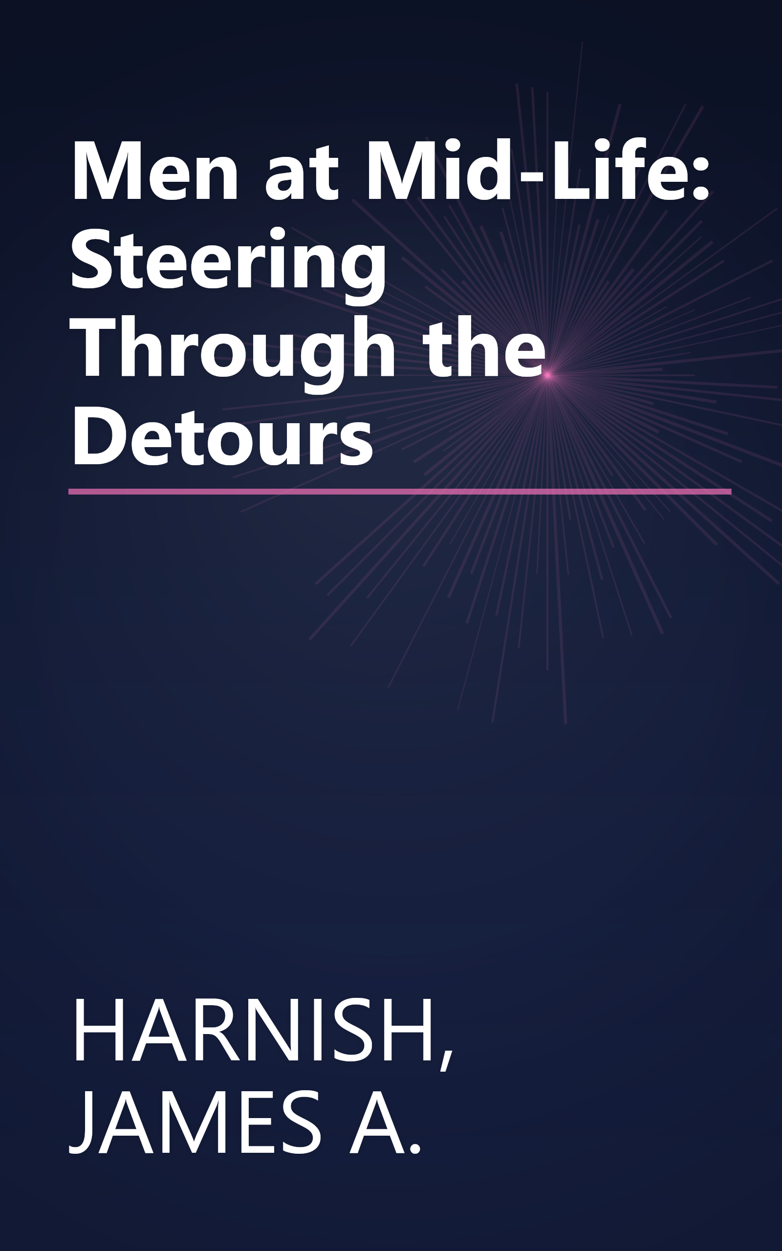 Men at Mid-Life: Steering Through the Detours book cover