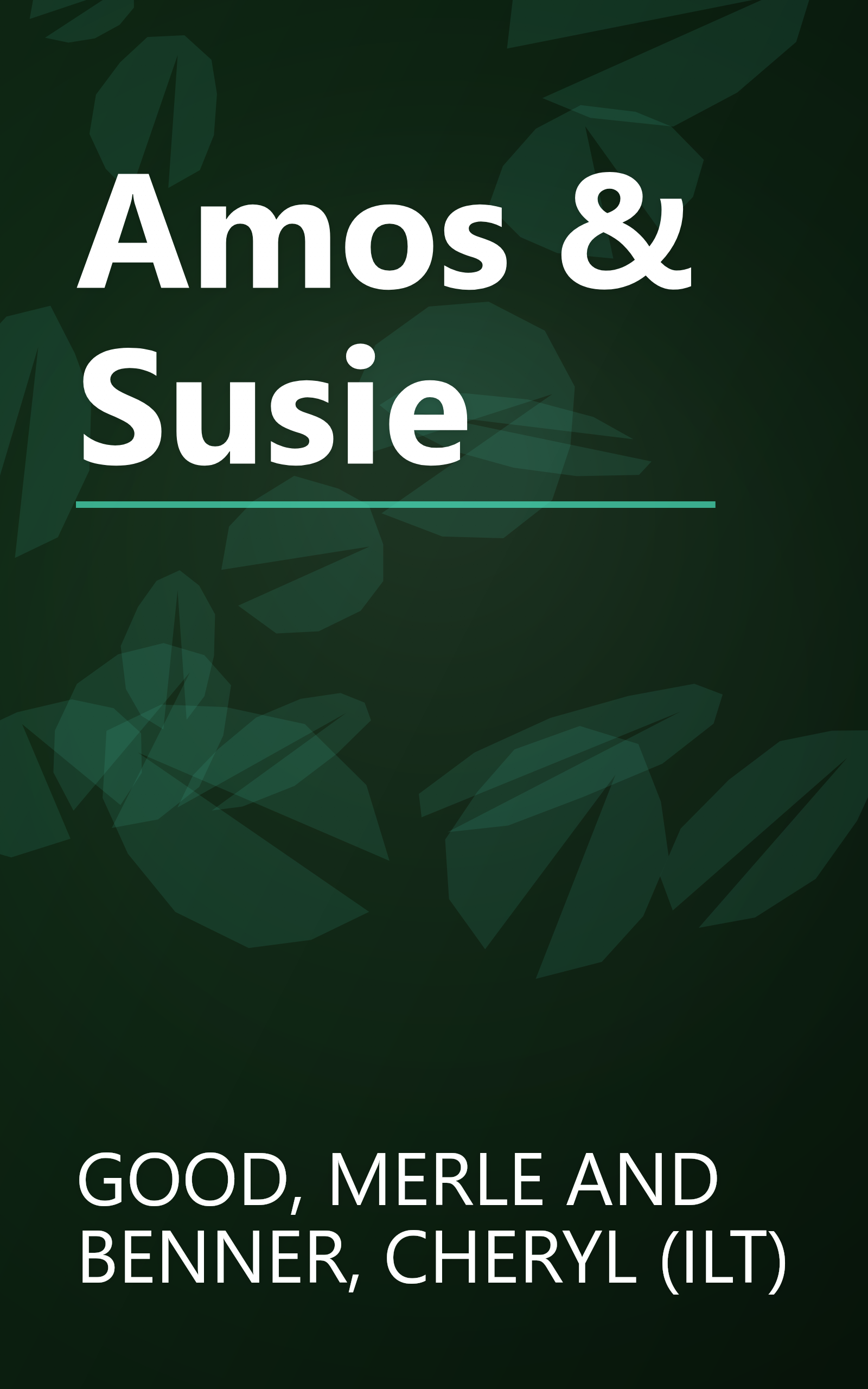 Amos & Susie book cover